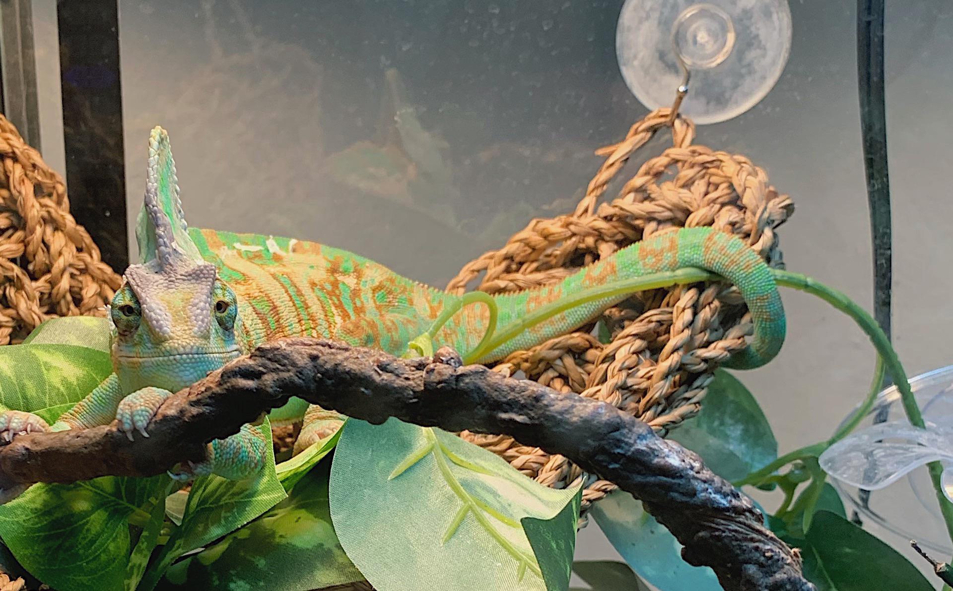 my big smiley boy🥰 | Scrolller