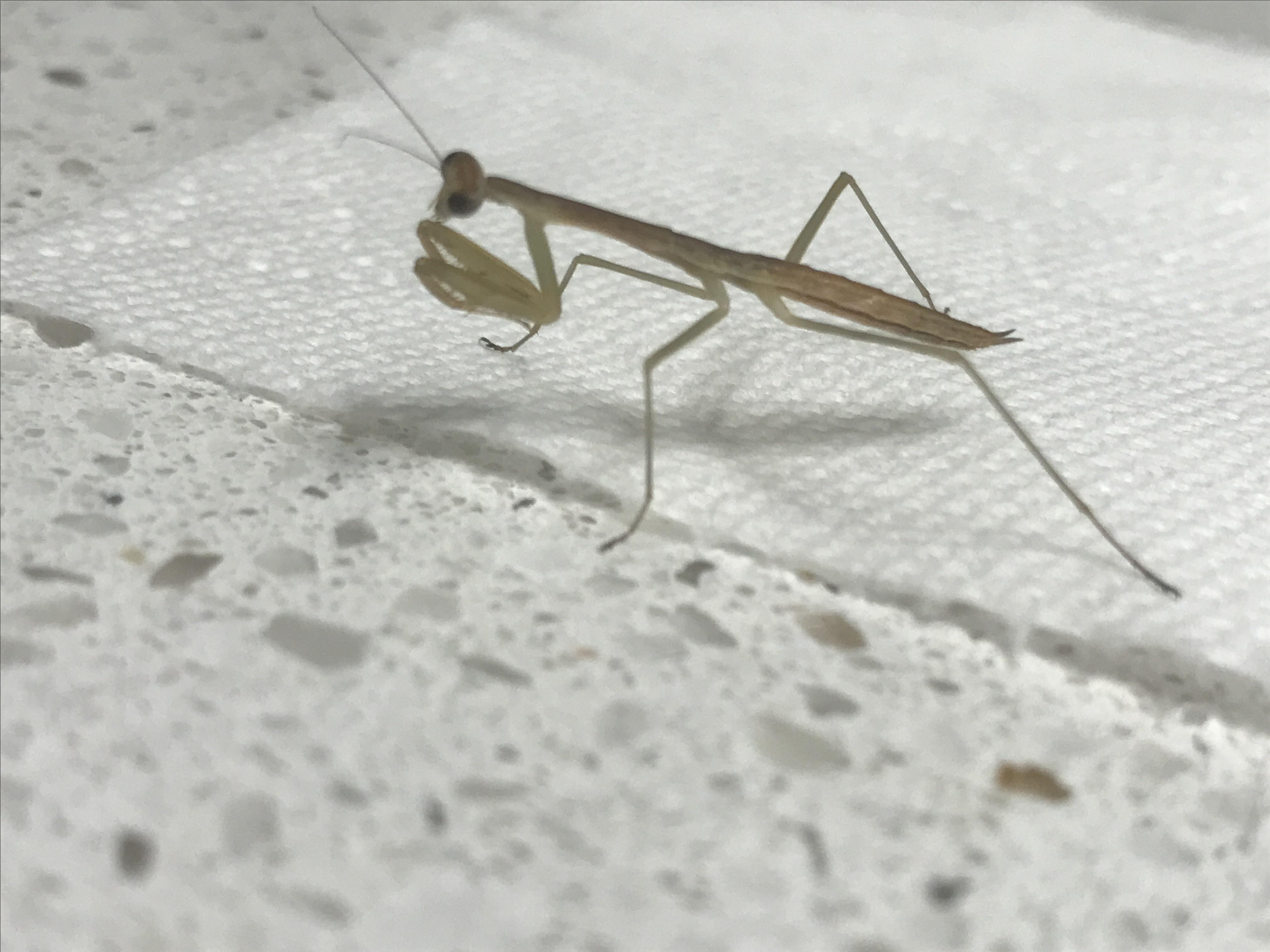 My boi zuko! | Scrolller