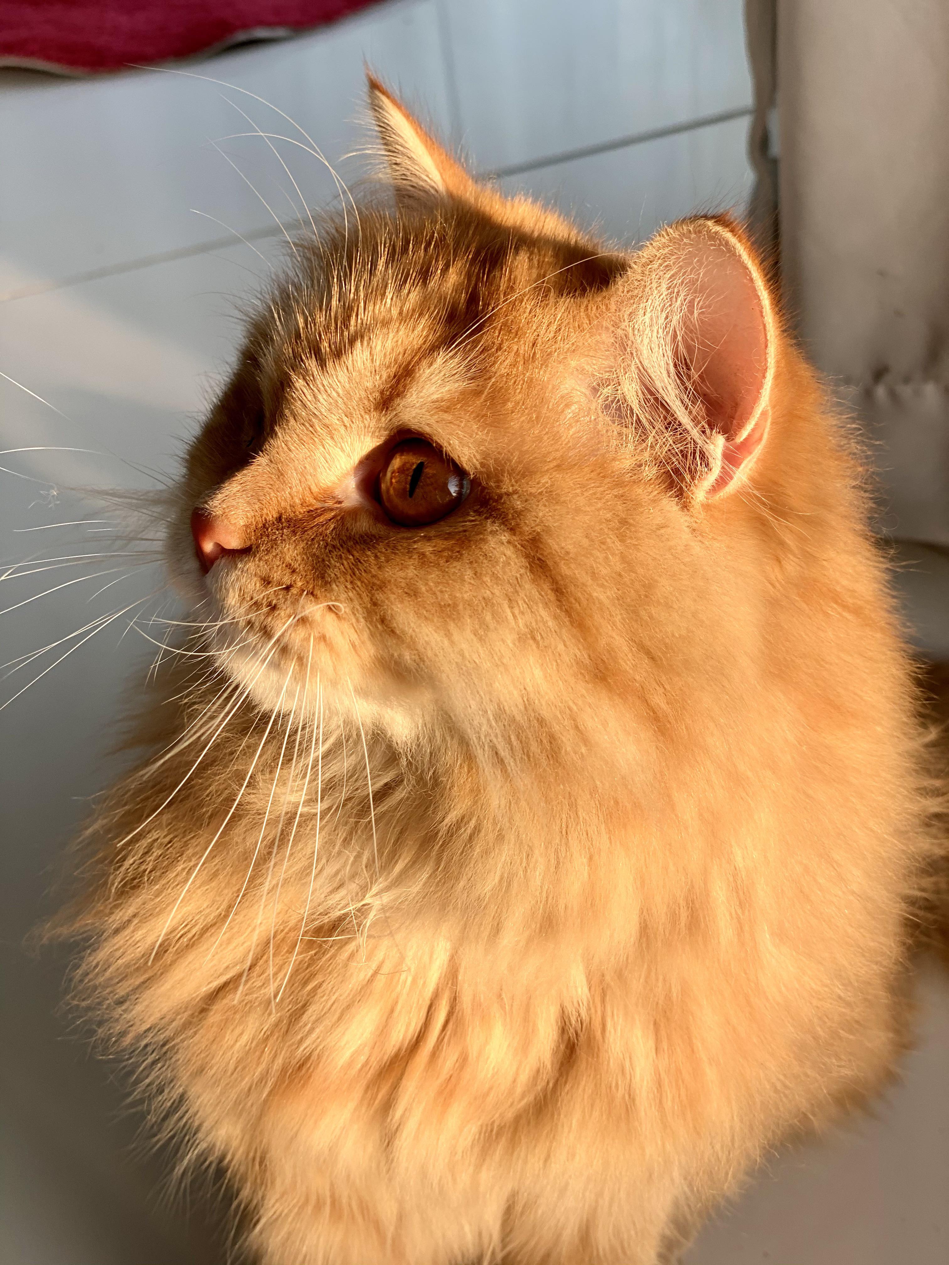 My boo in all her glory. | Scrolller