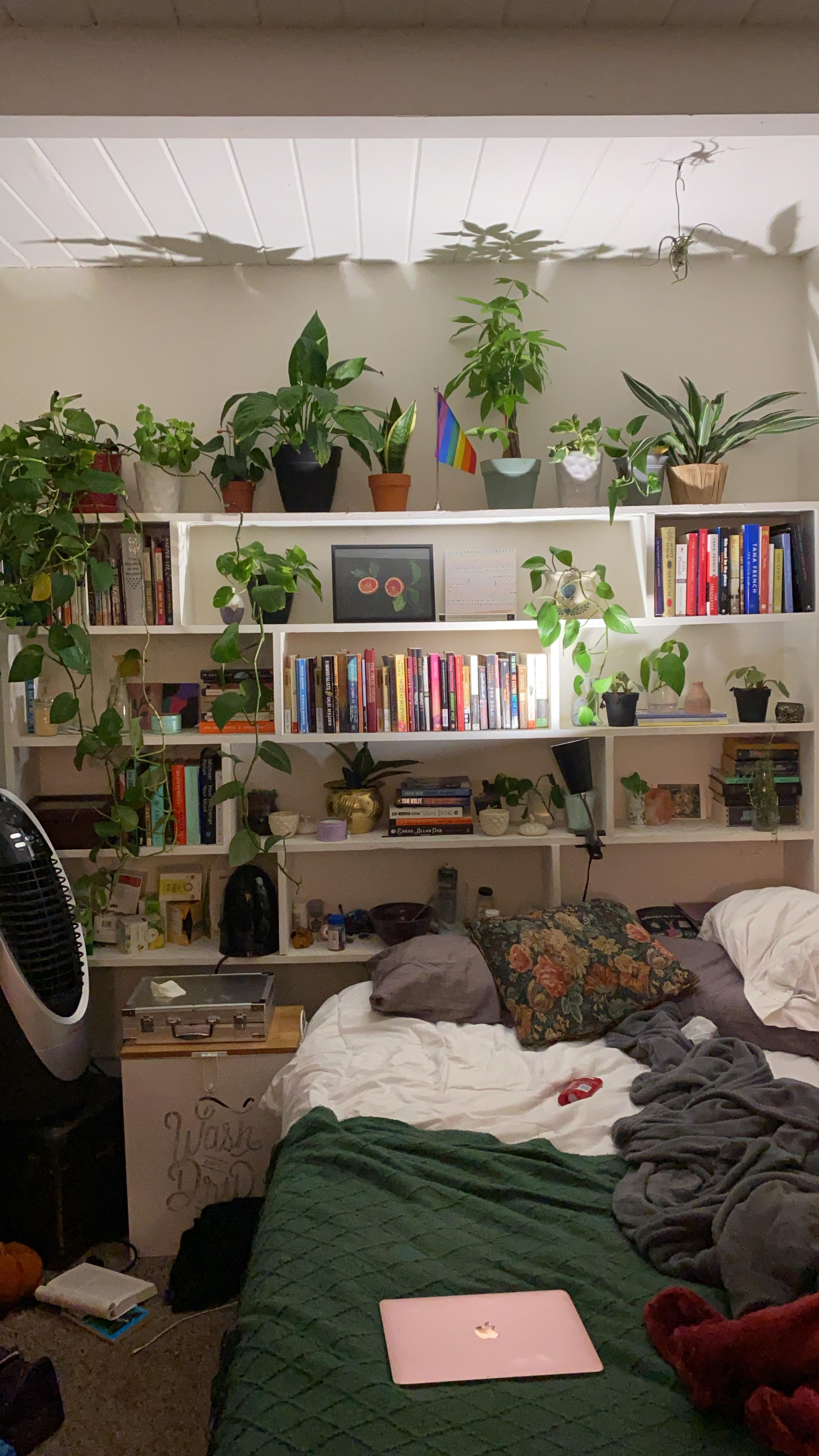 My bookshelf is continuing to evolve | Scrolller