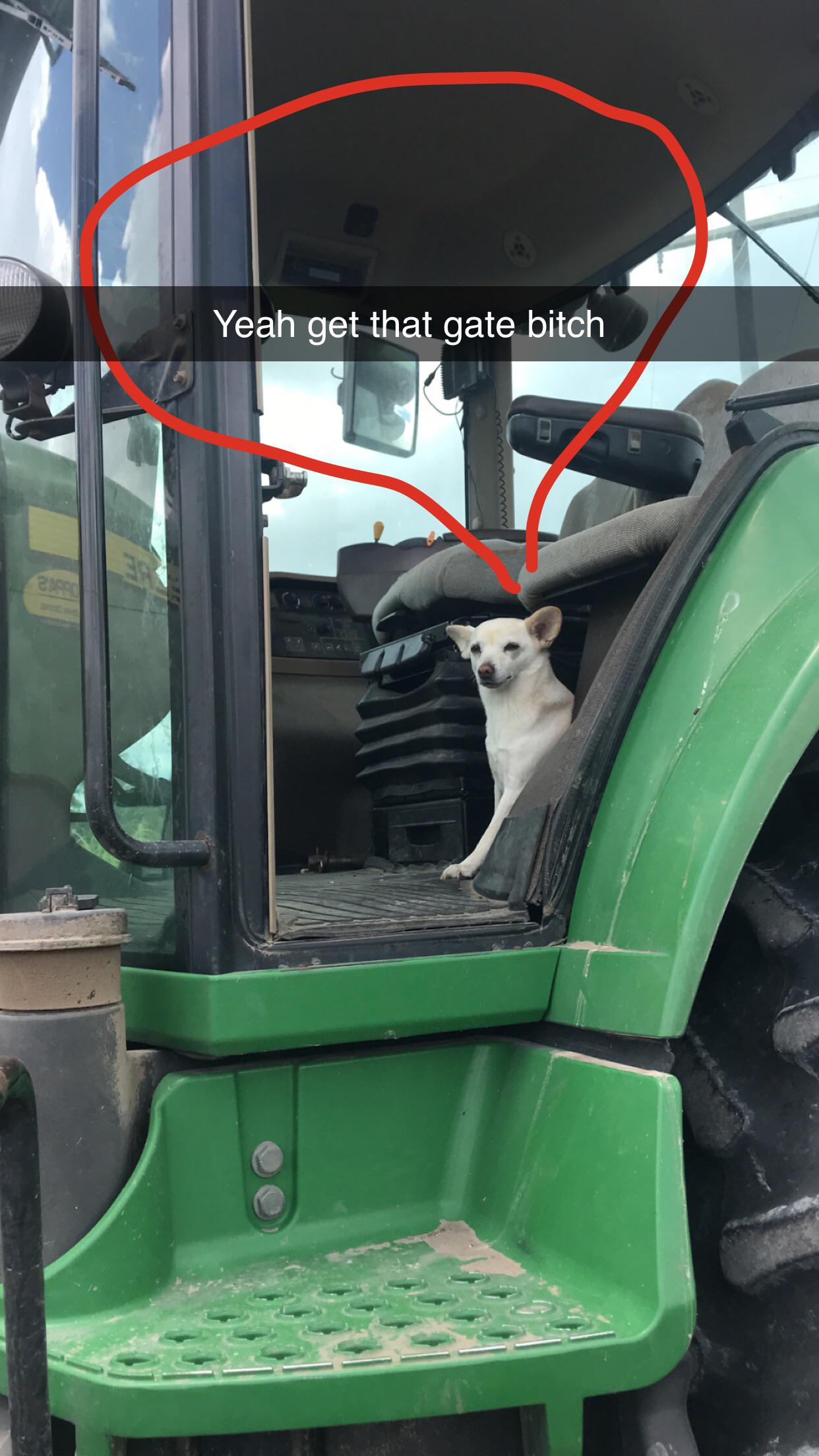 My boss is rude | Scrolller