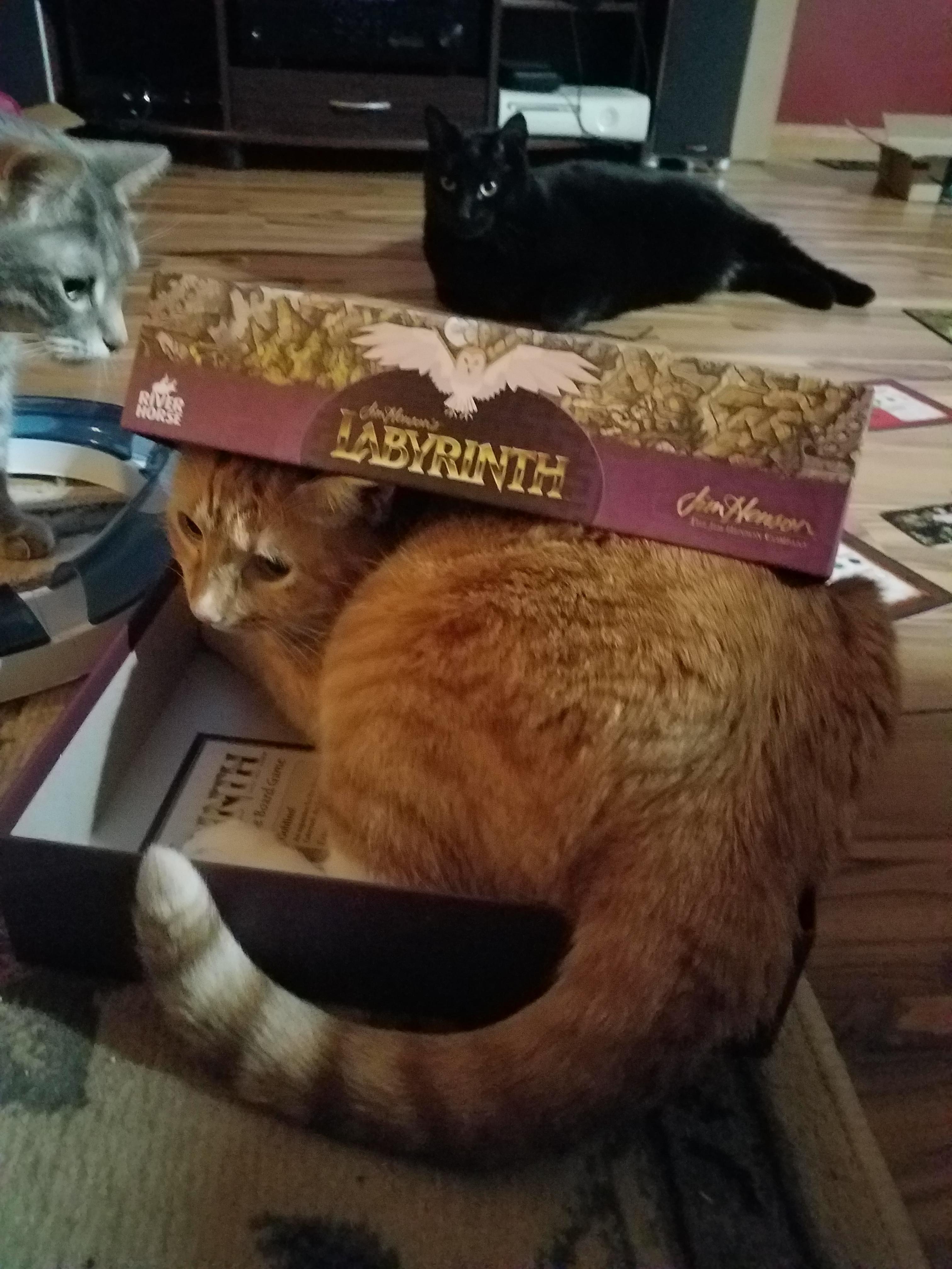 My box.... | Scrolller