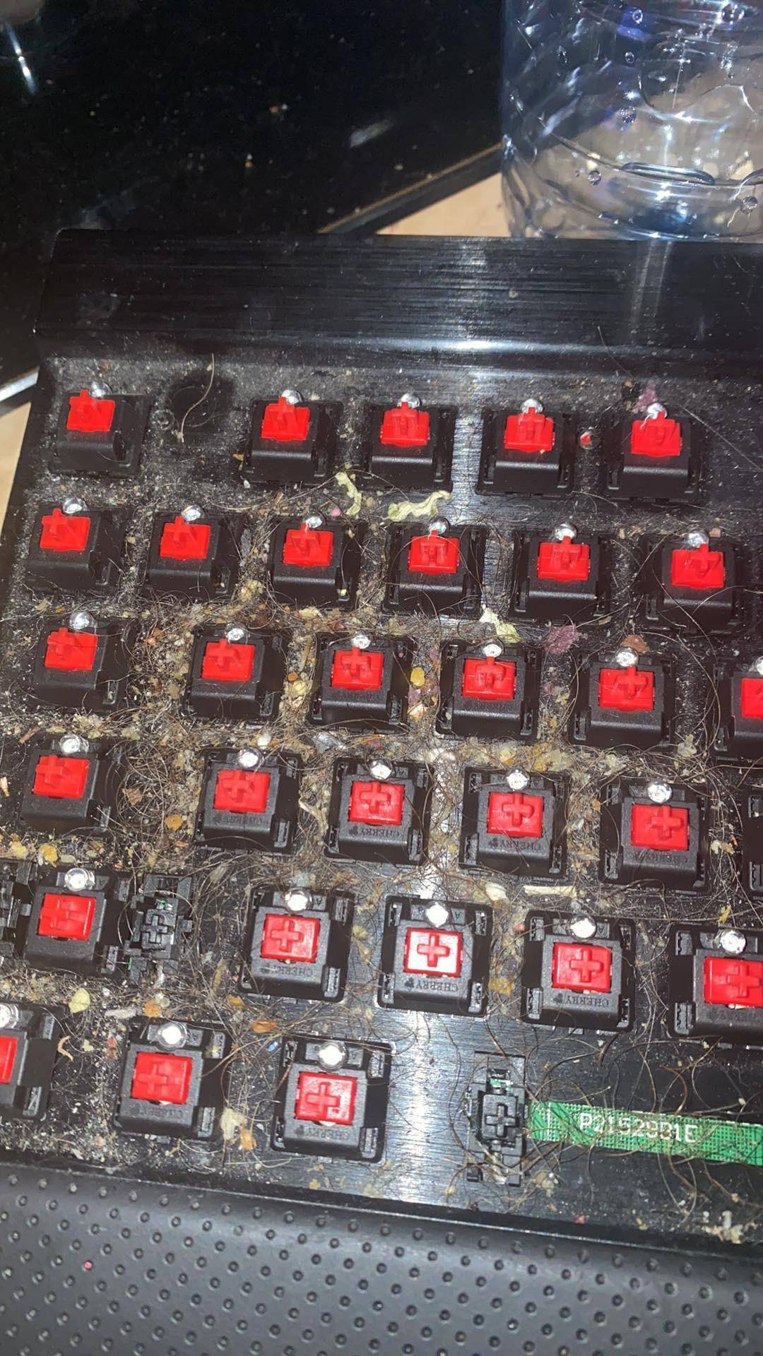 My buddies keyboard | Scrolller