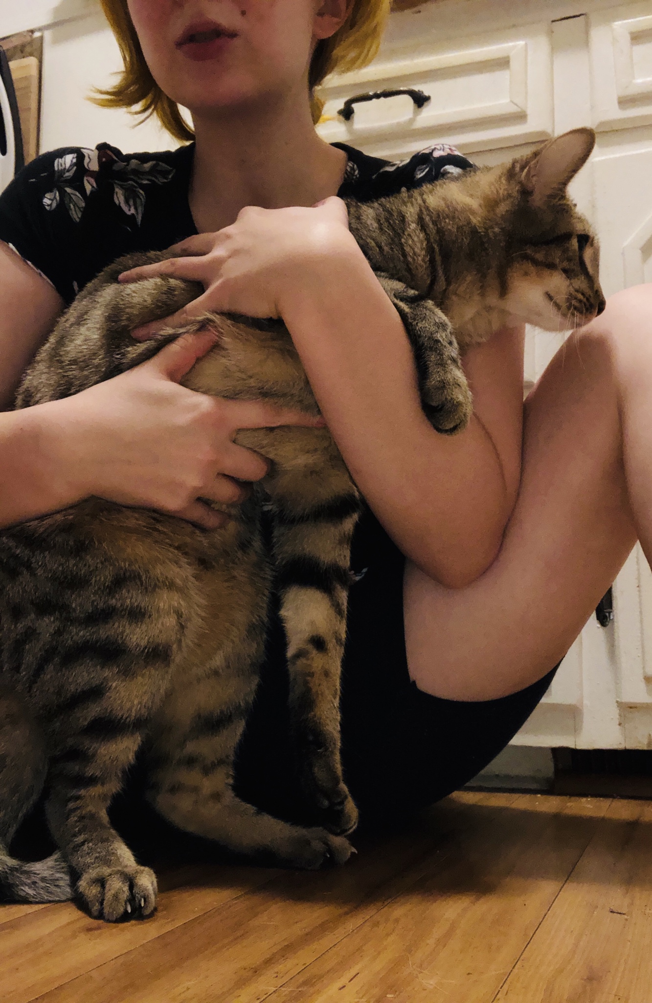 Discover more like GirlsWithHugePussies: My carpet does not match the drapes, and I like to keep ...