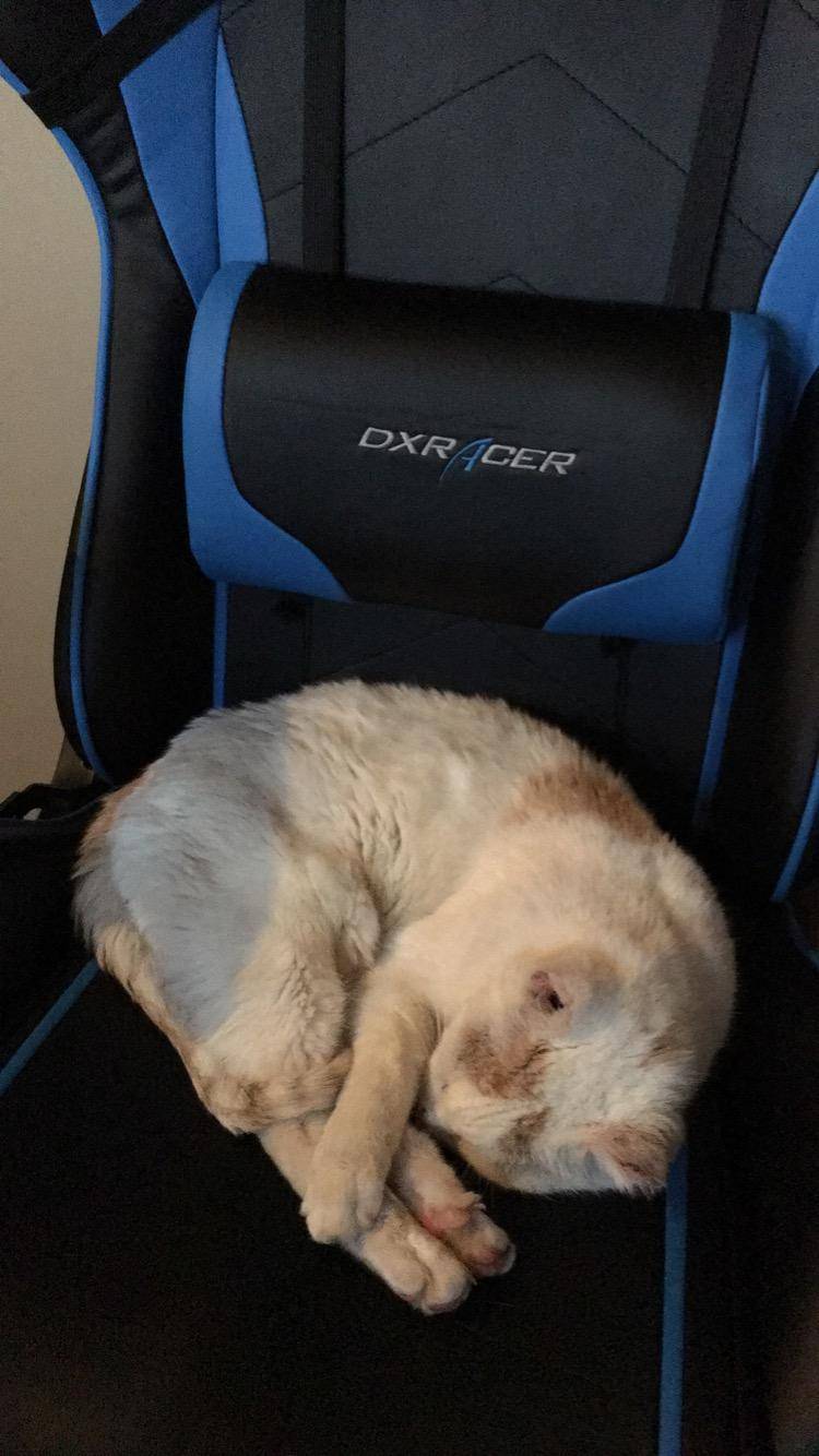 My chair | Scrolller