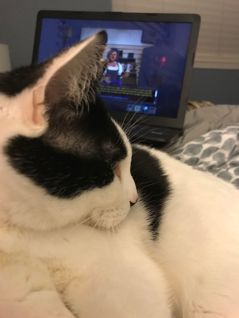 My constant sleuthing buddy helping with captive curse. | Scrolller