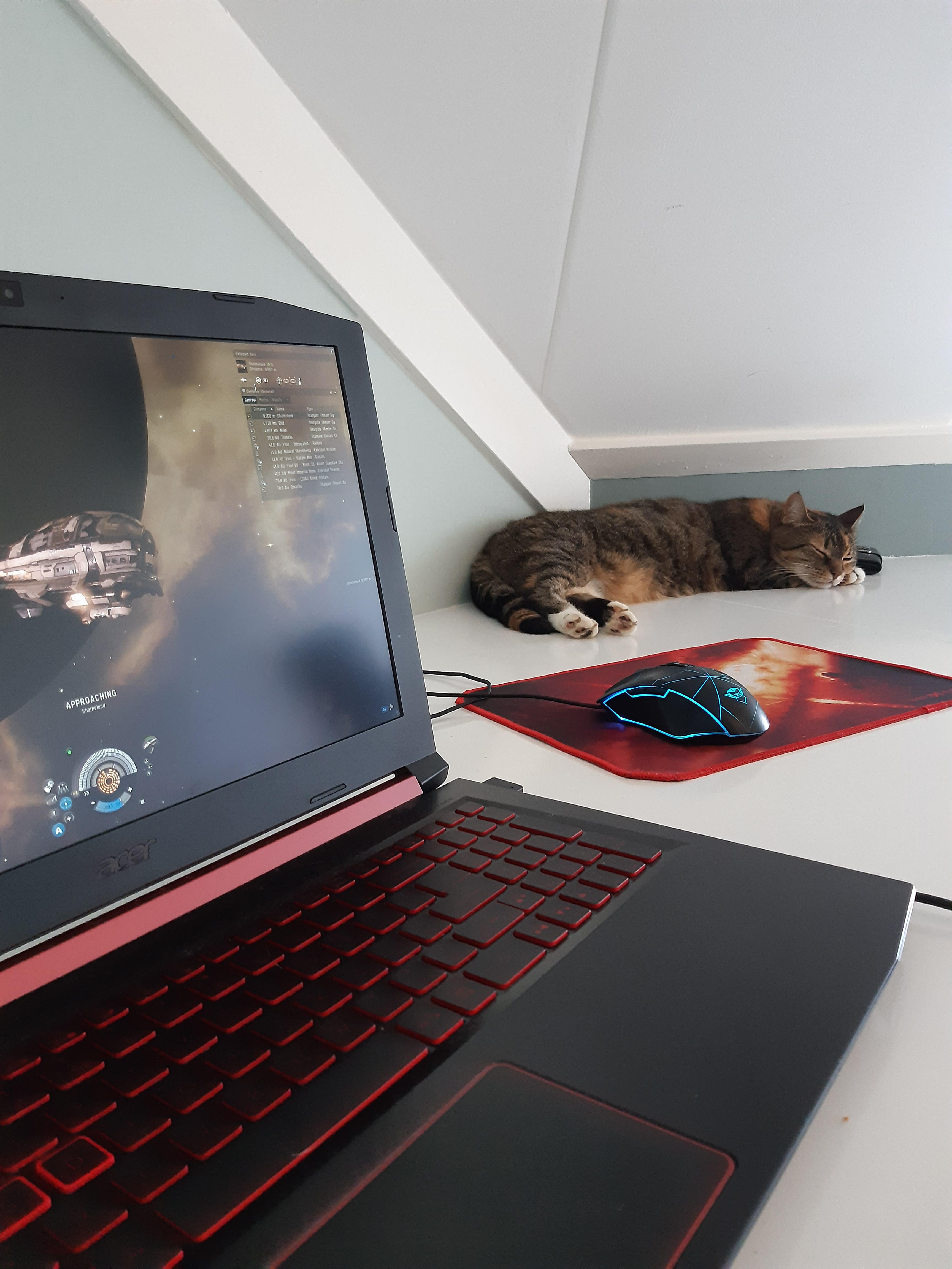 My copilot is sleeping on the job... again... | Scrolller