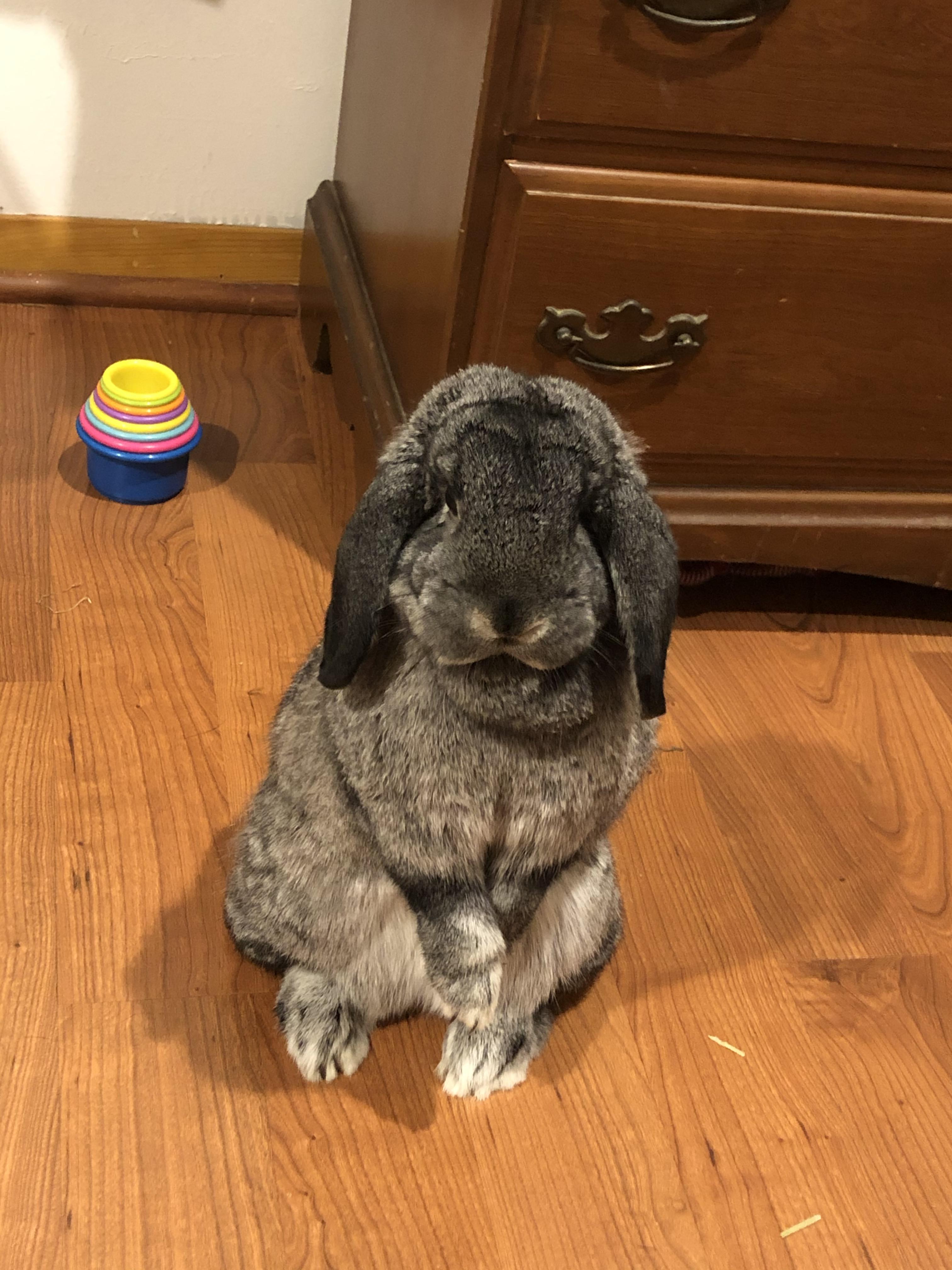 my cute mabel girl | Scrolller