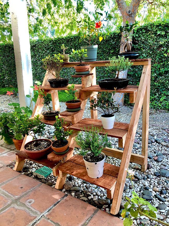 My Dad built a bonsai bench for my budding collection! | Scrolller