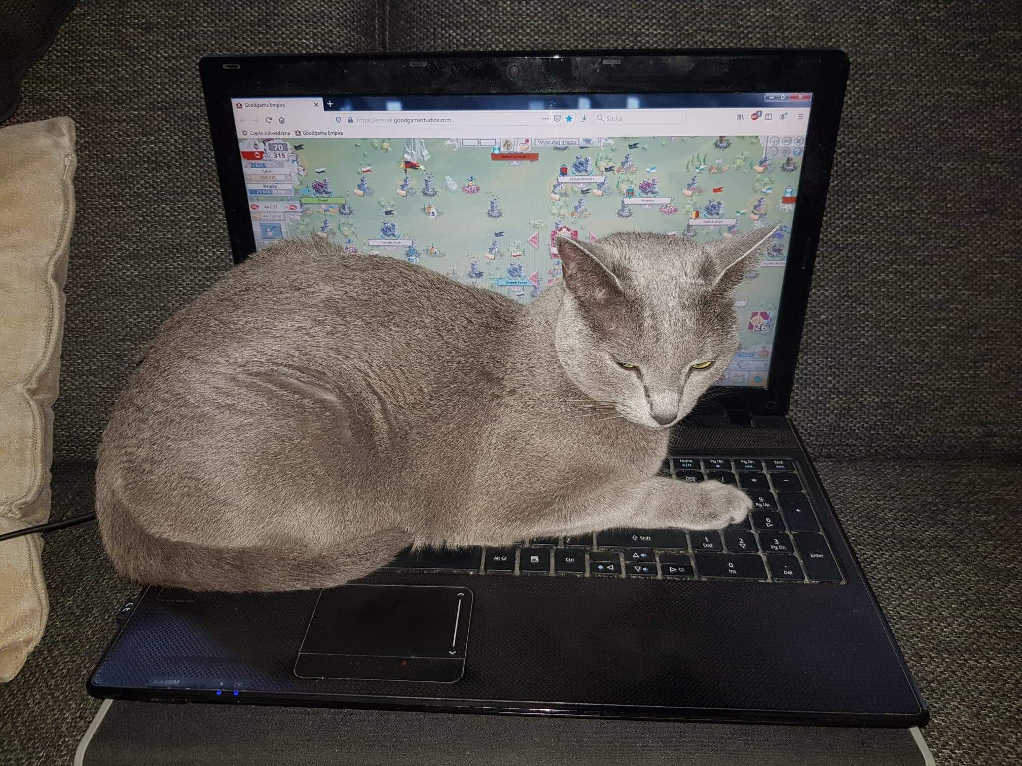 My dad just wanted to use his laptop | Scrolller