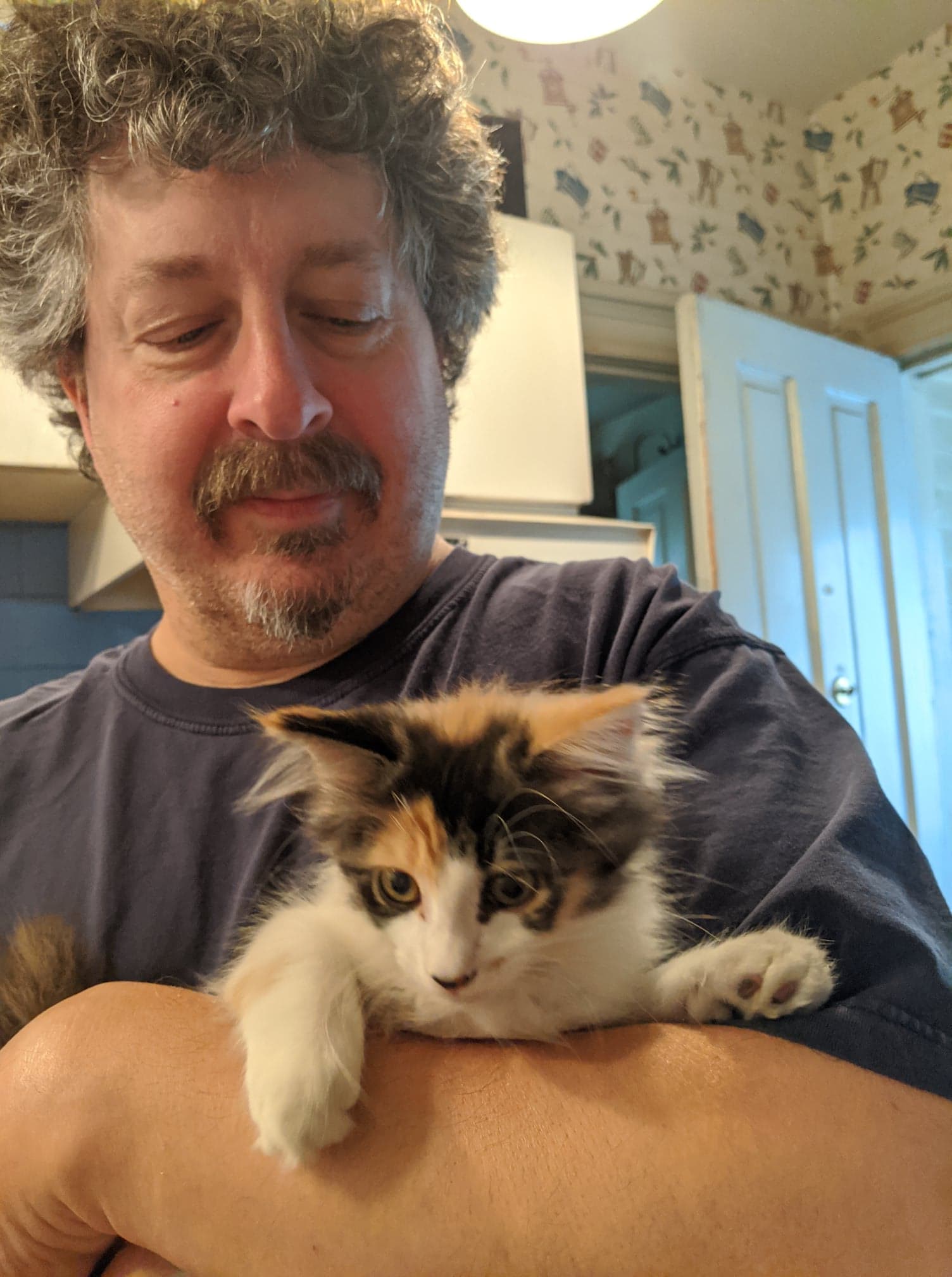 My dad 'mirin his new kitten! | Scrolller