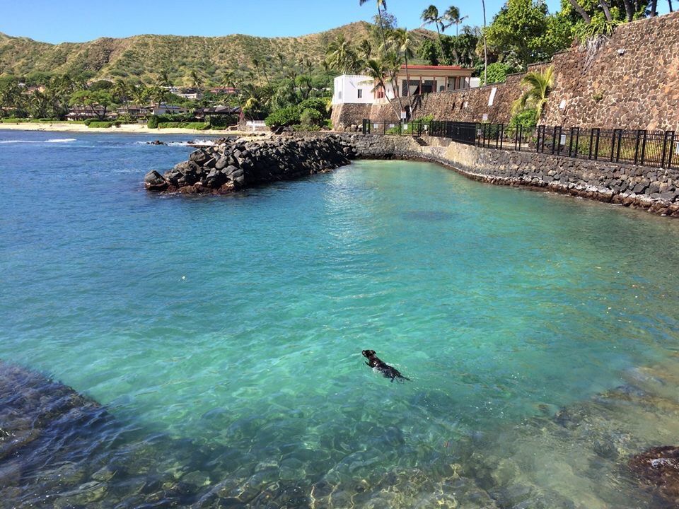 "My daddy had the day off so he took me swimming"- Mana | Scrolller