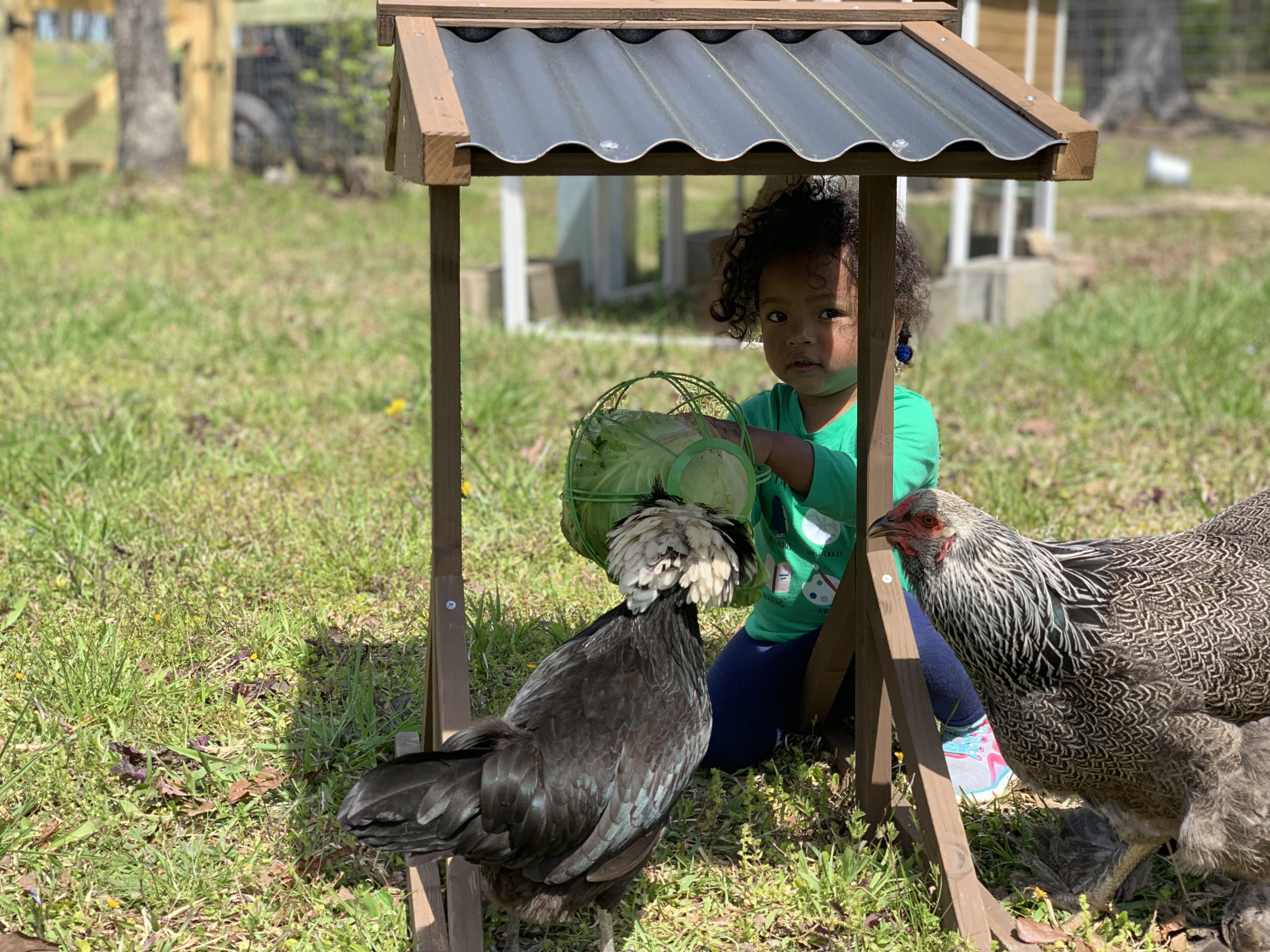 My daughter really loves her hens. | Scrolller