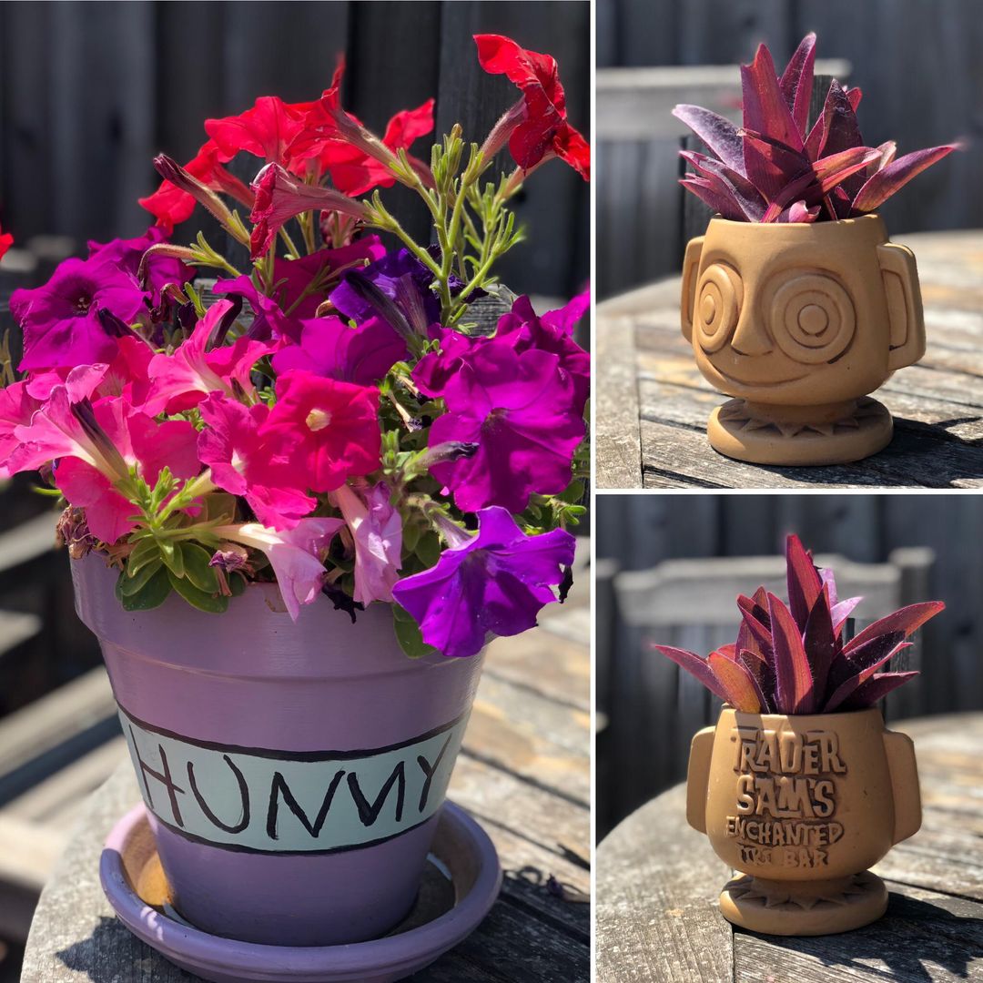 My Disneyland inspired plant pots! | Scrolller