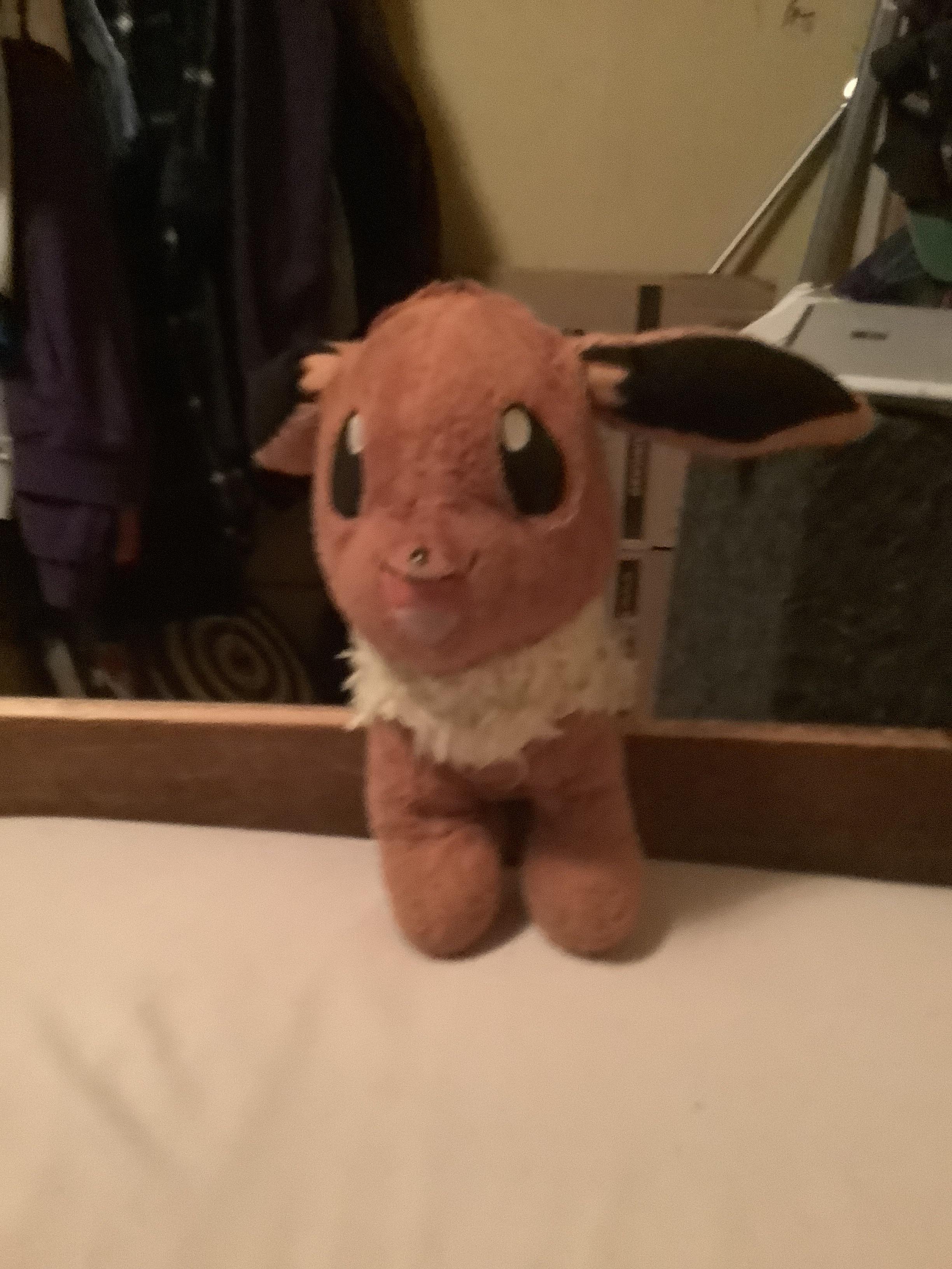 My eevee plush | Scrolller
