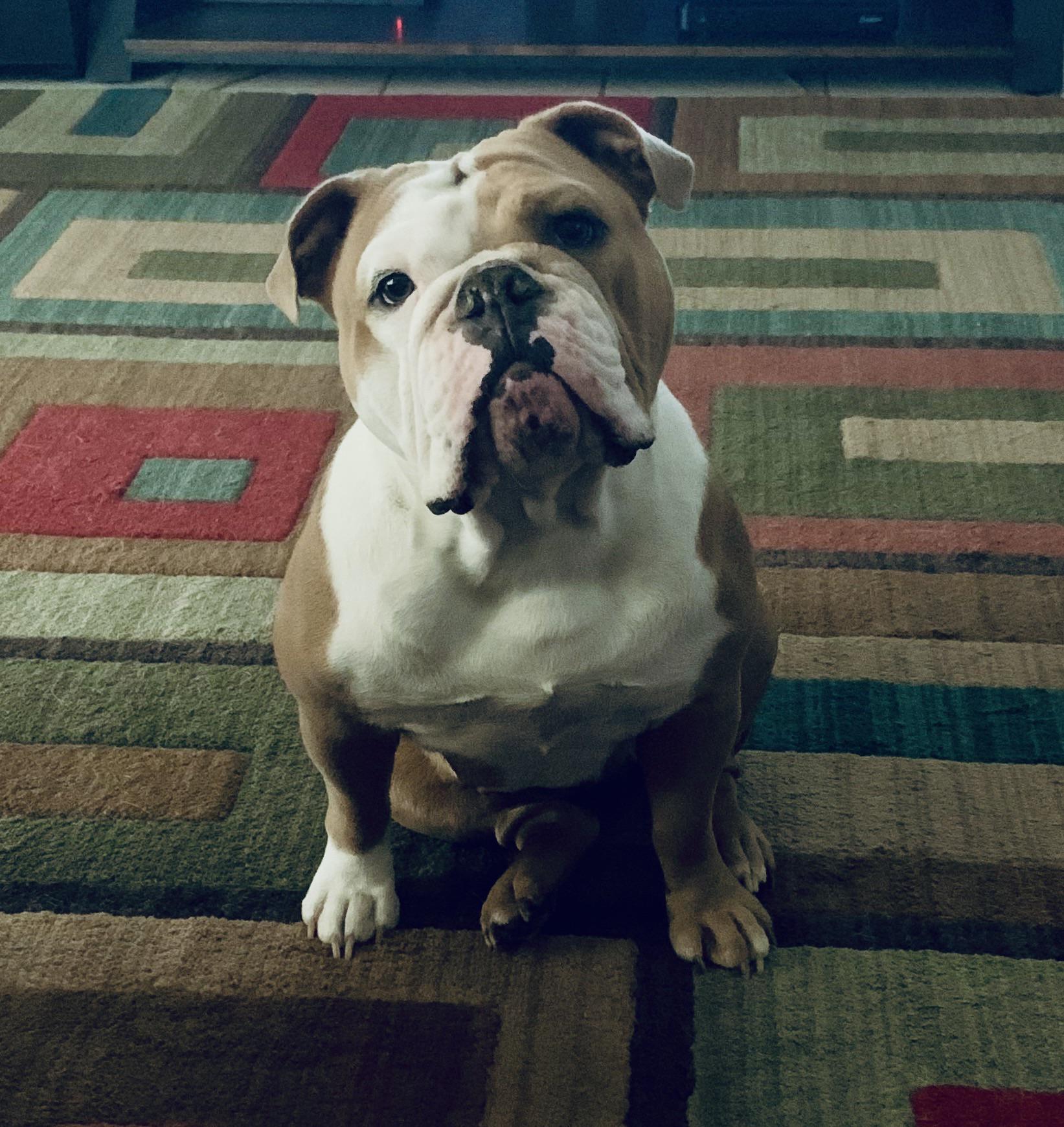 My Emma bear | Scrolller