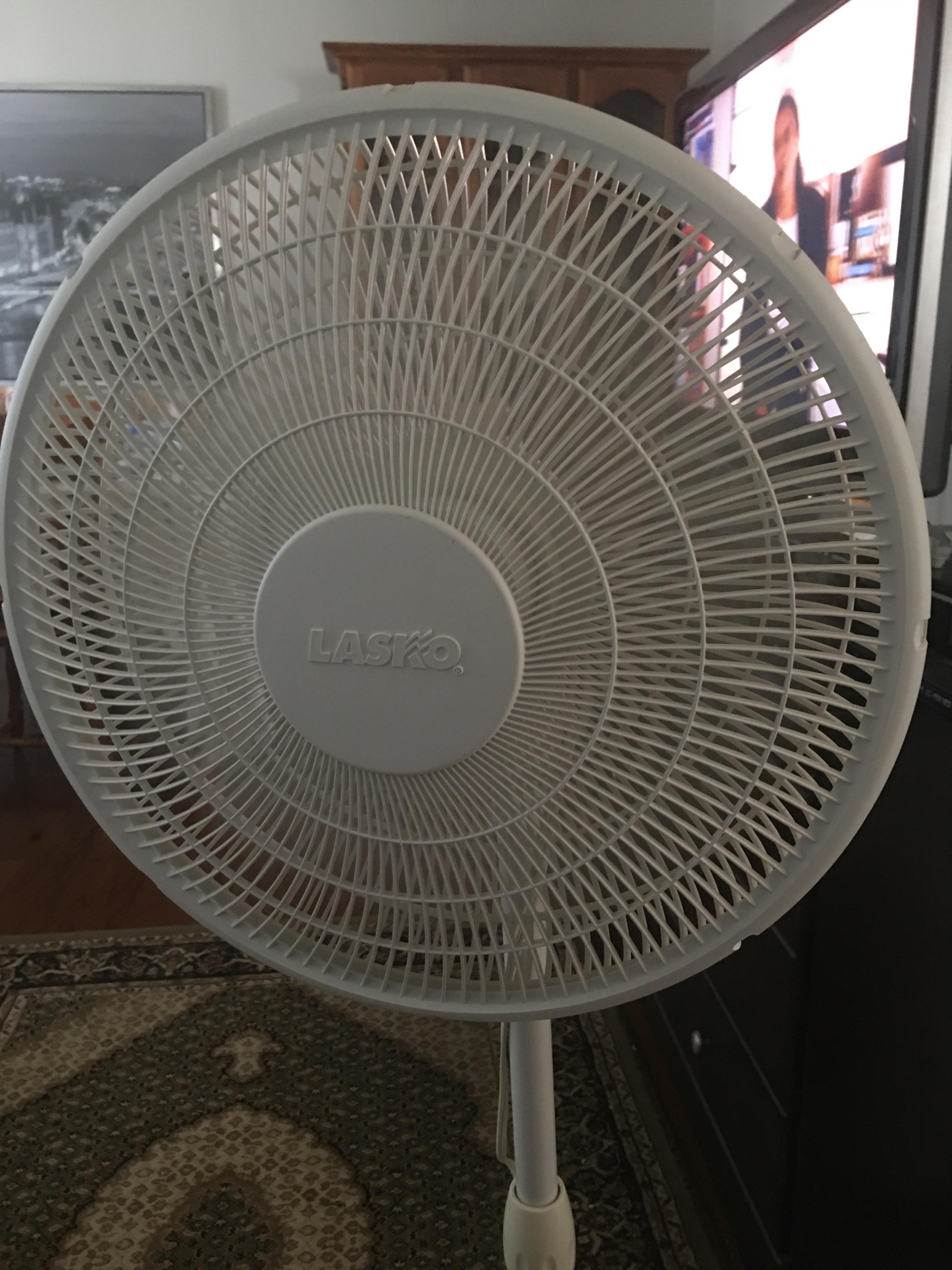 My fan | Scrolller