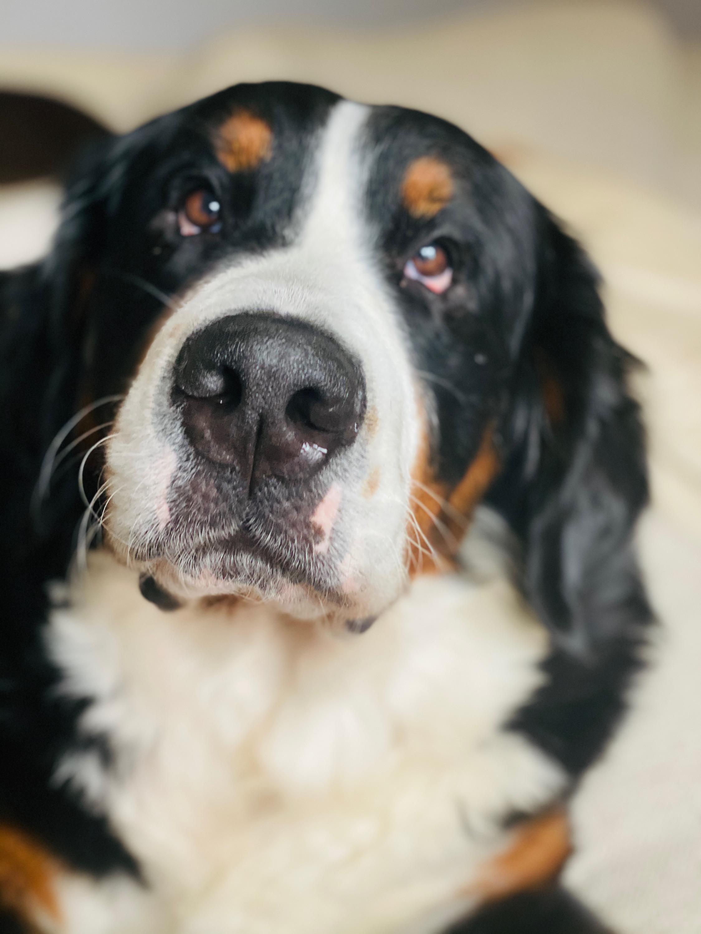 My favorite big nose. | Scrolller