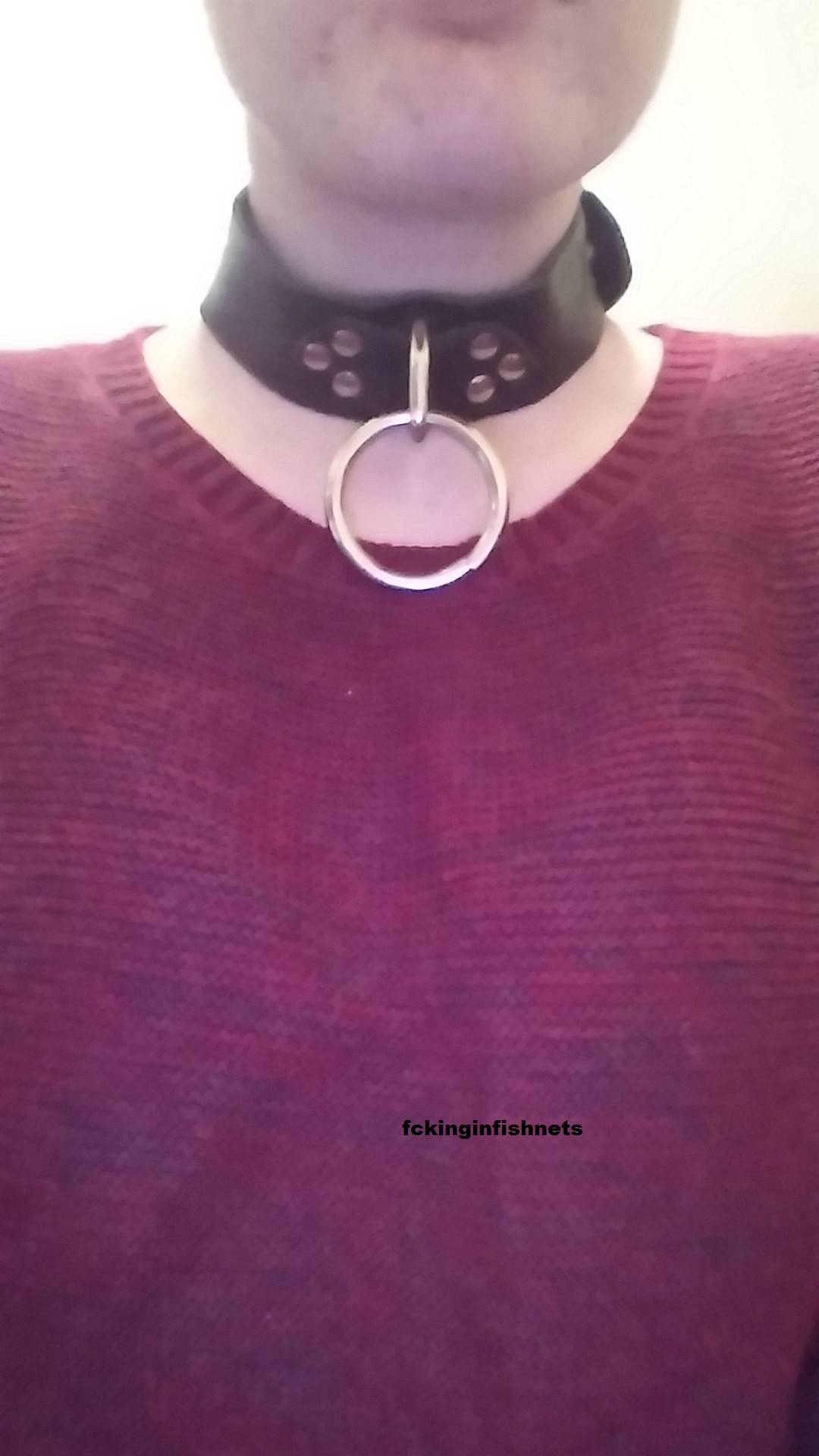 My favorite collar [f] | Scrolller