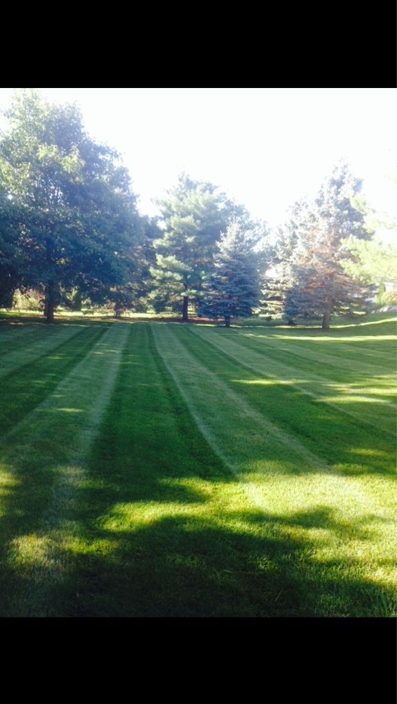 My favorite lawn to cut | Scrolller