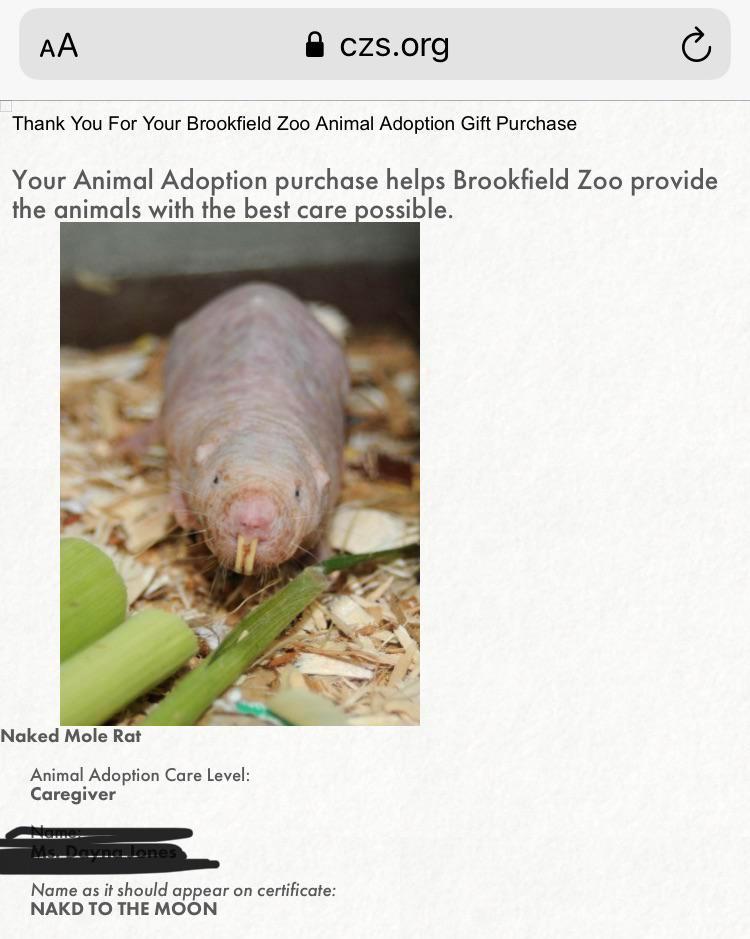 My favorite penny stock mascot ️ | Scrolller