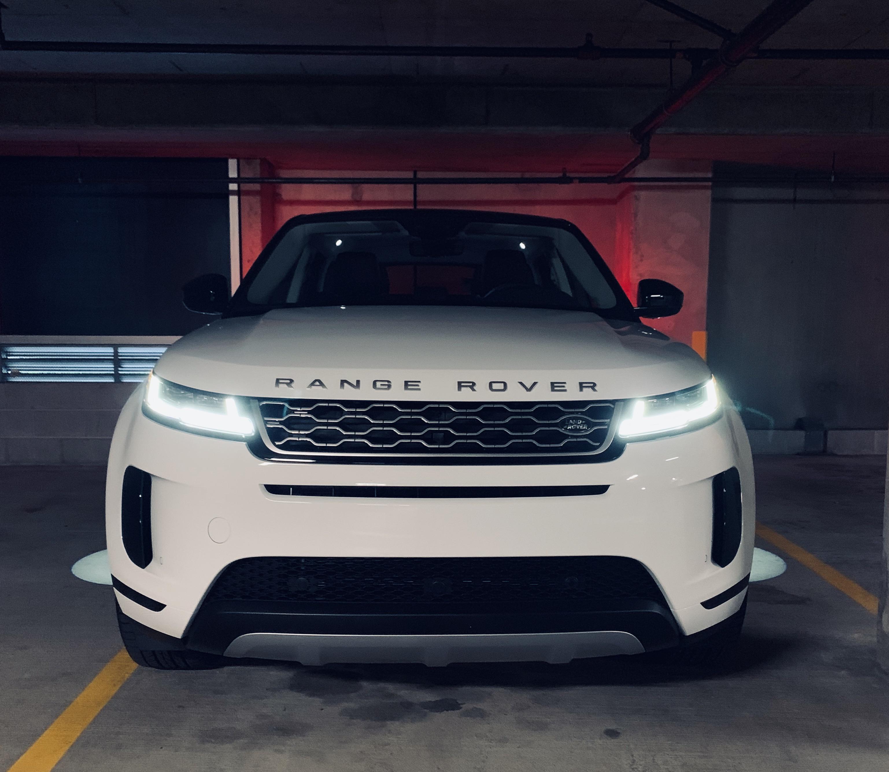 My first baby (Rover)! | Scrolller