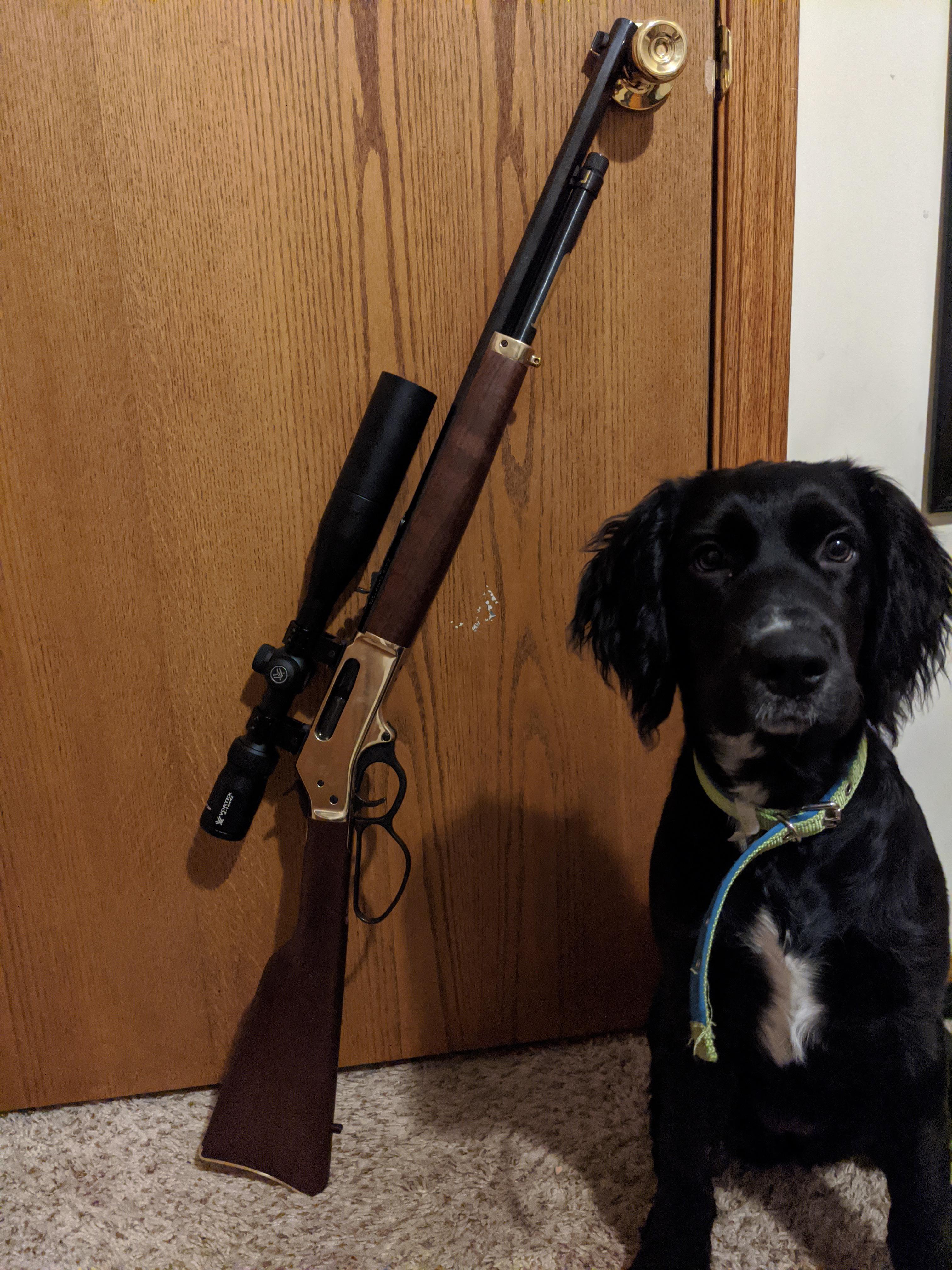 My first long range setup and my puppy just because she's cute | Scrolller