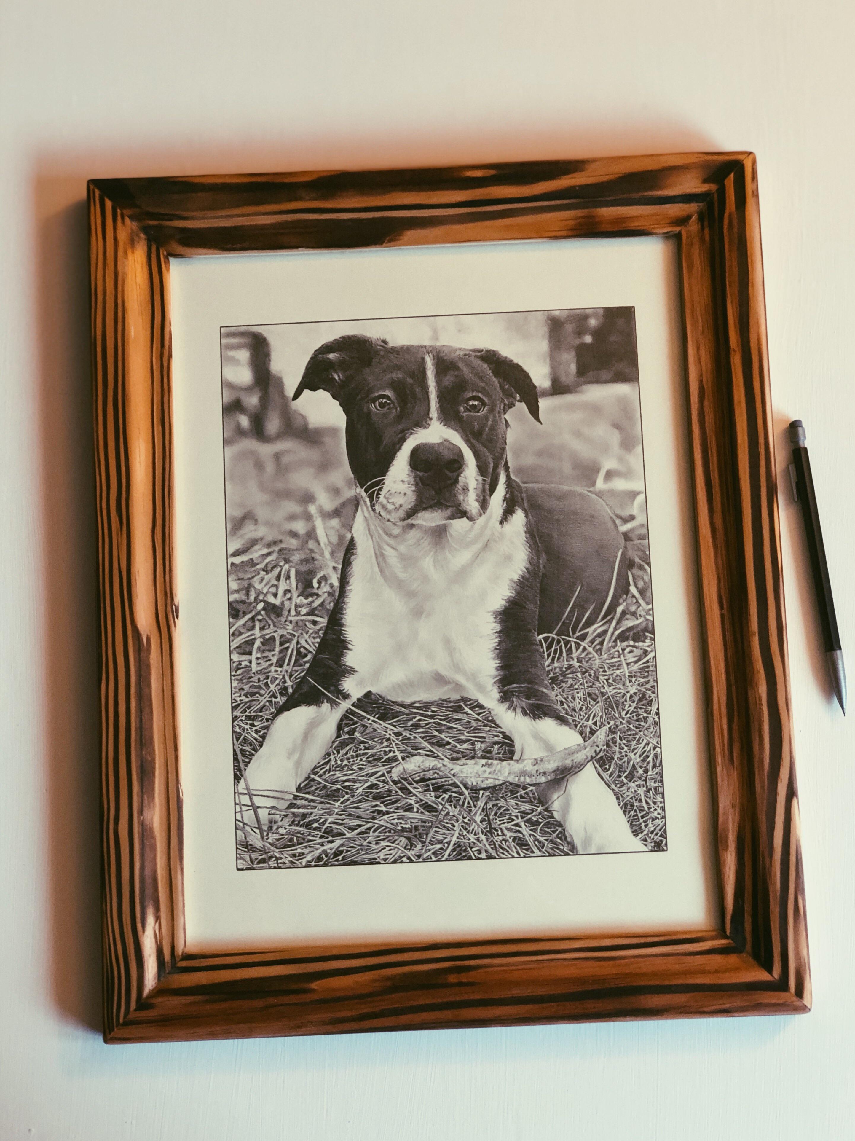 My friend drew a portrait of my sweet little pup. | Scrolller