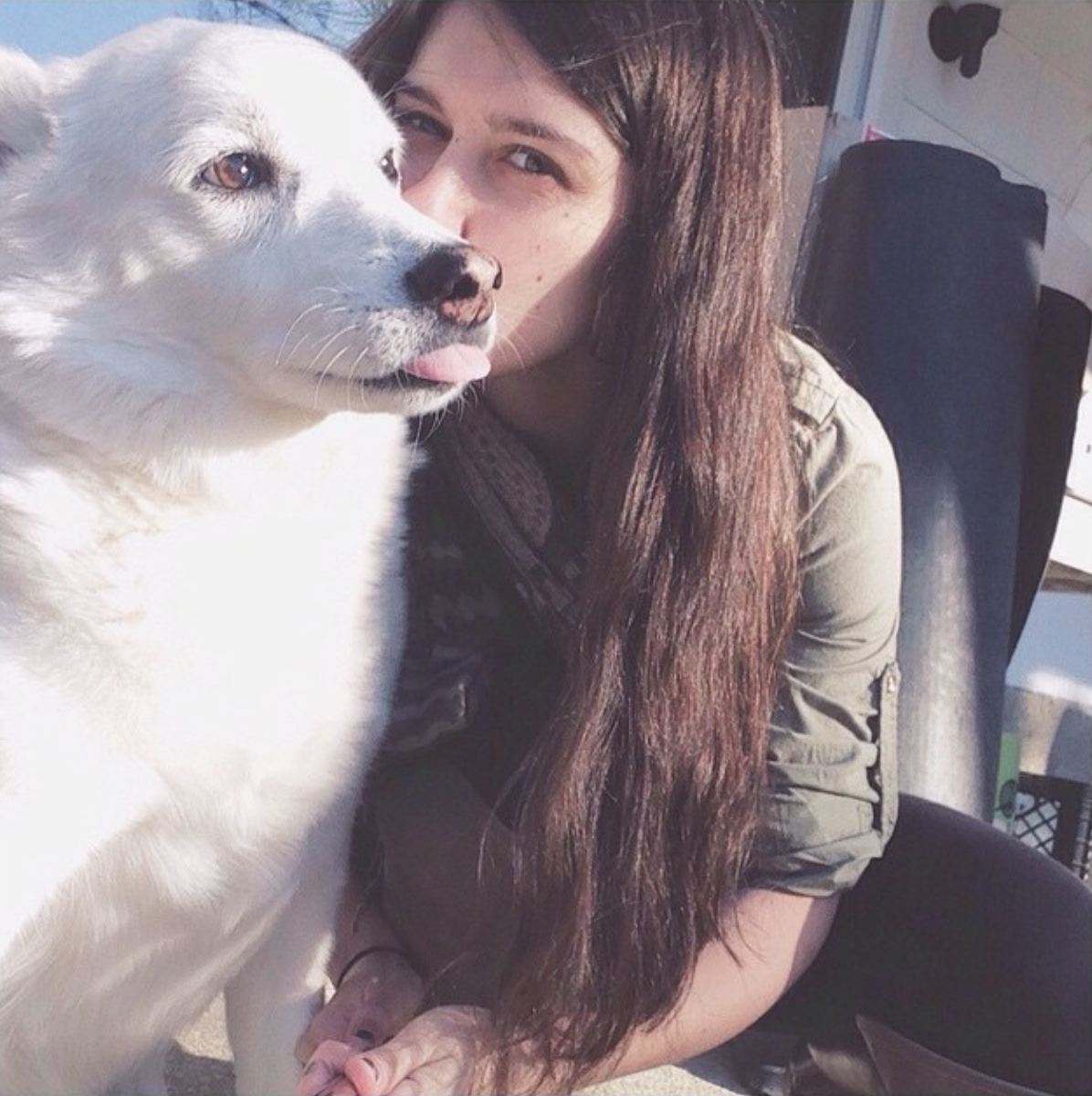 My Friend Lauren's Derp In Shiny Coat [/u/cassiebanaszek] | Scrolller