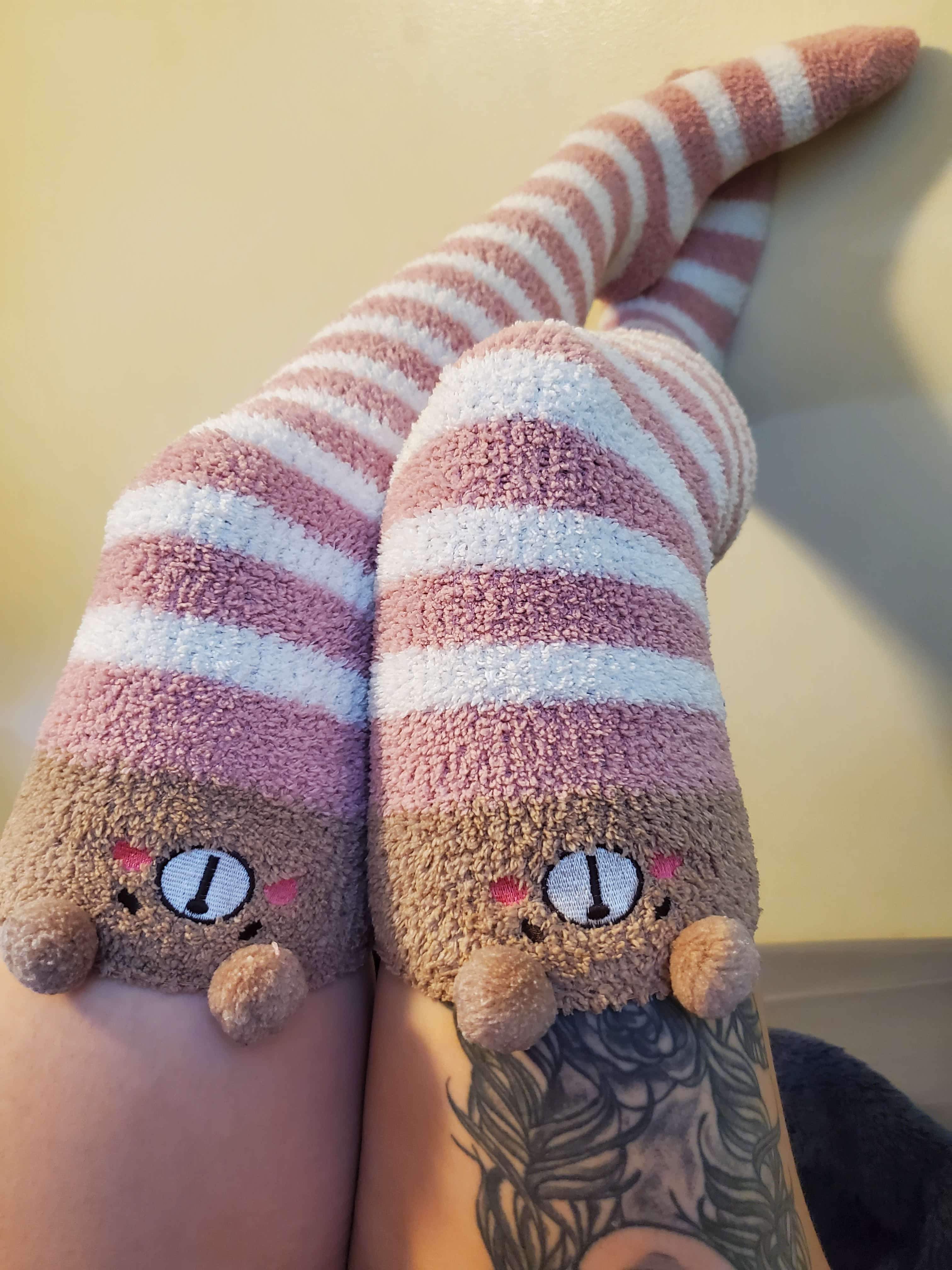 My fuzzy teddys | Scrolller