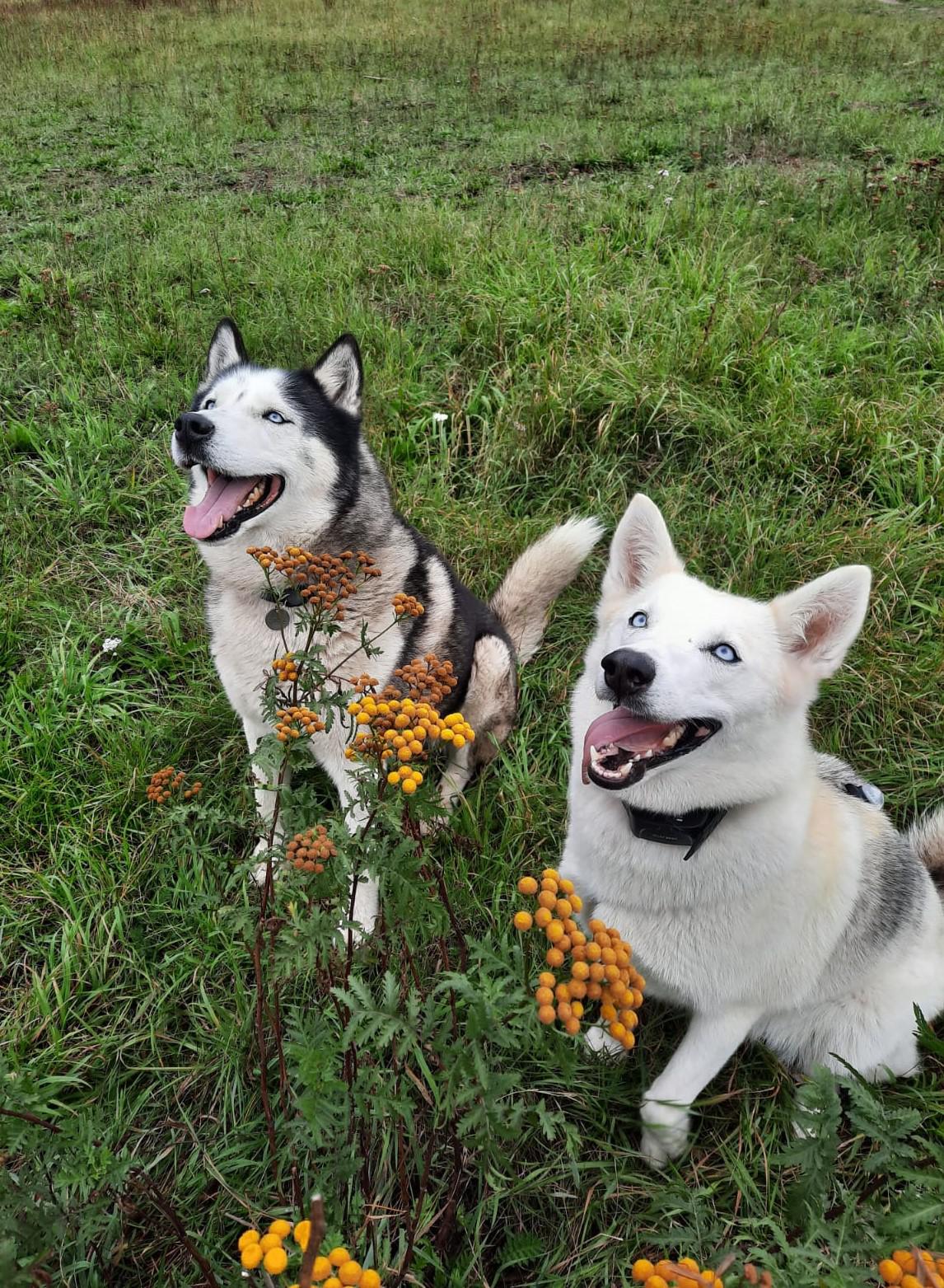 My girl and her "boyfriend" | Scrolller