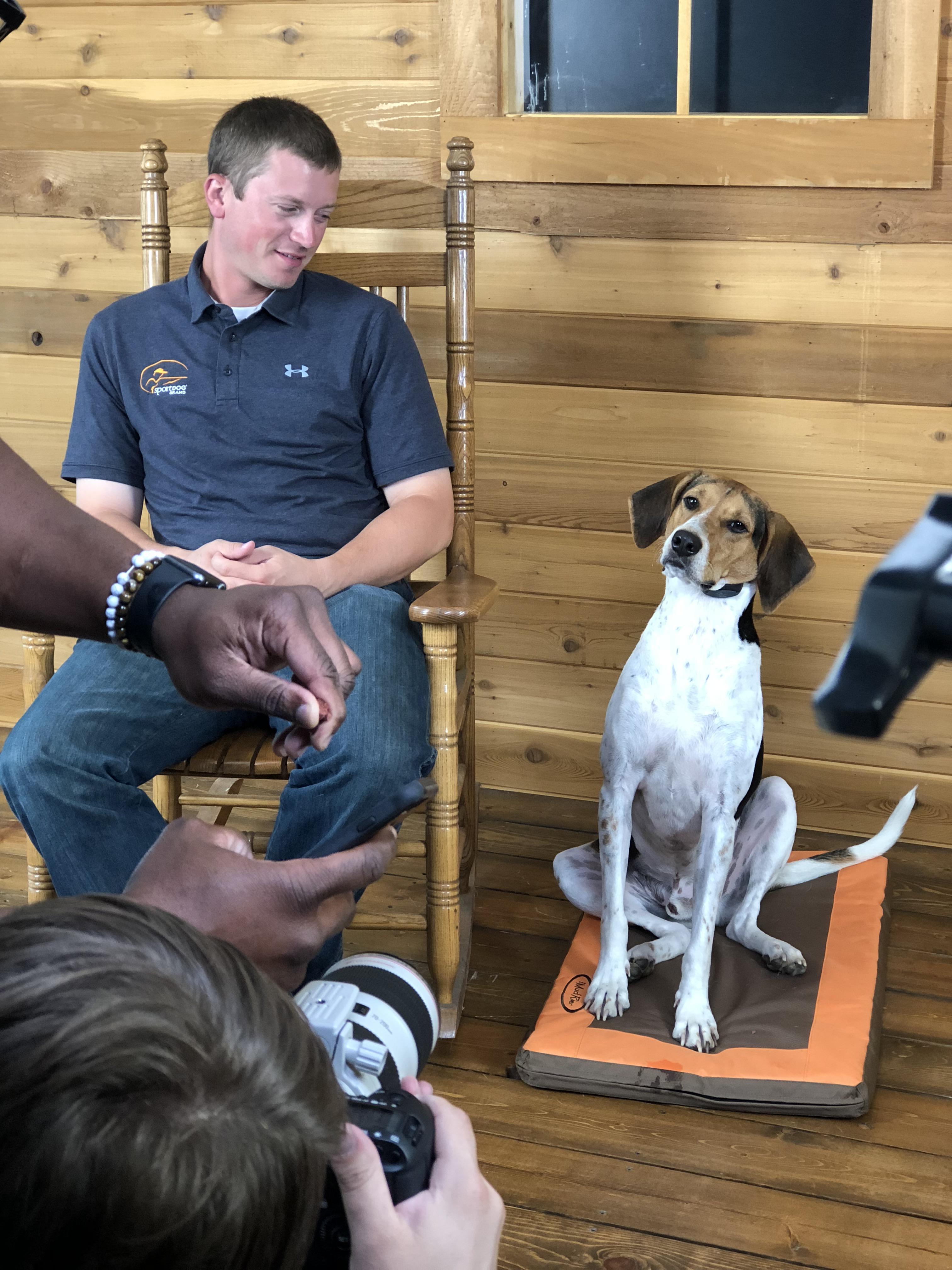 My goodest boy is a model! | Scrolller