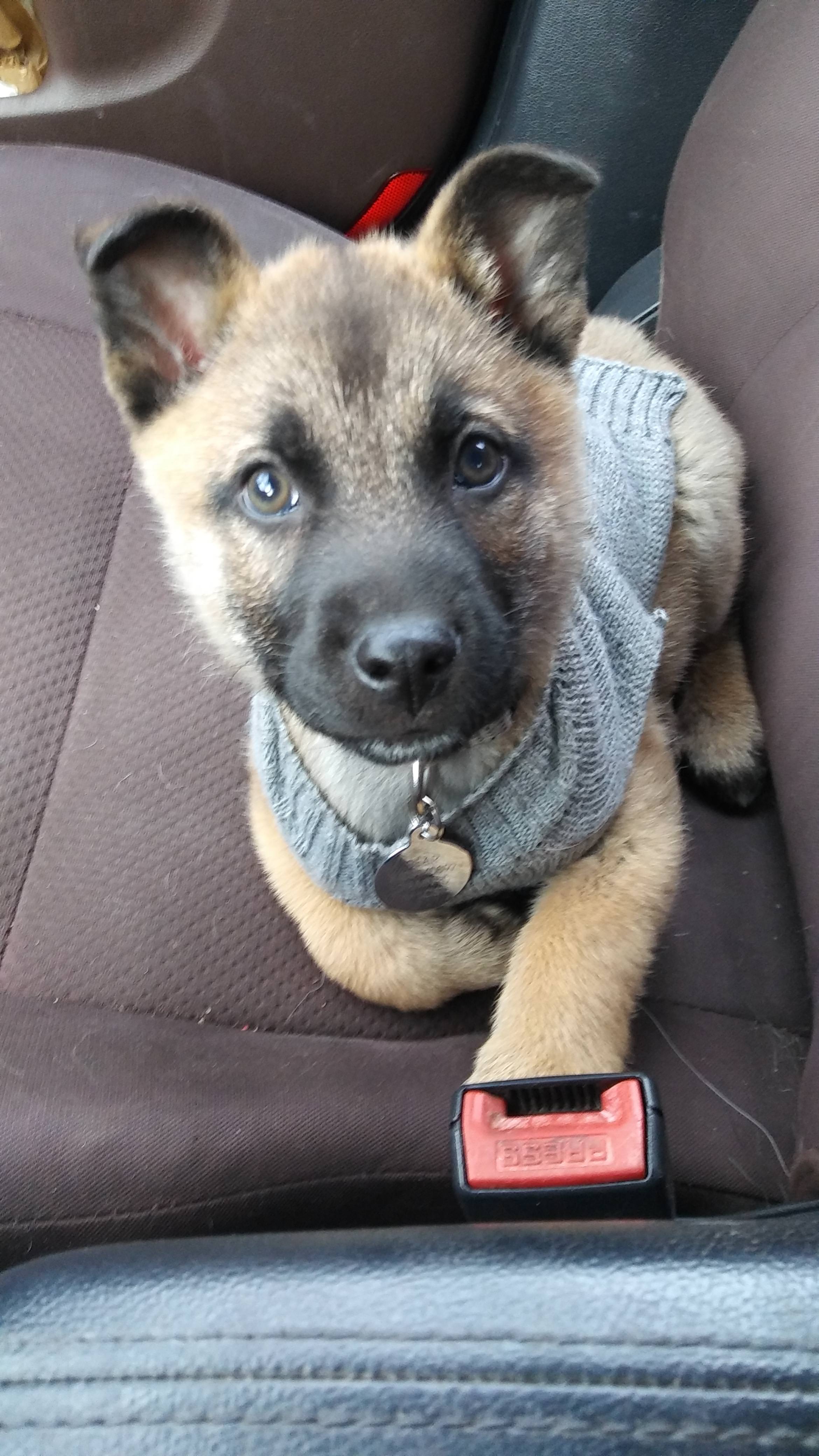 My gps guide | Scrolller