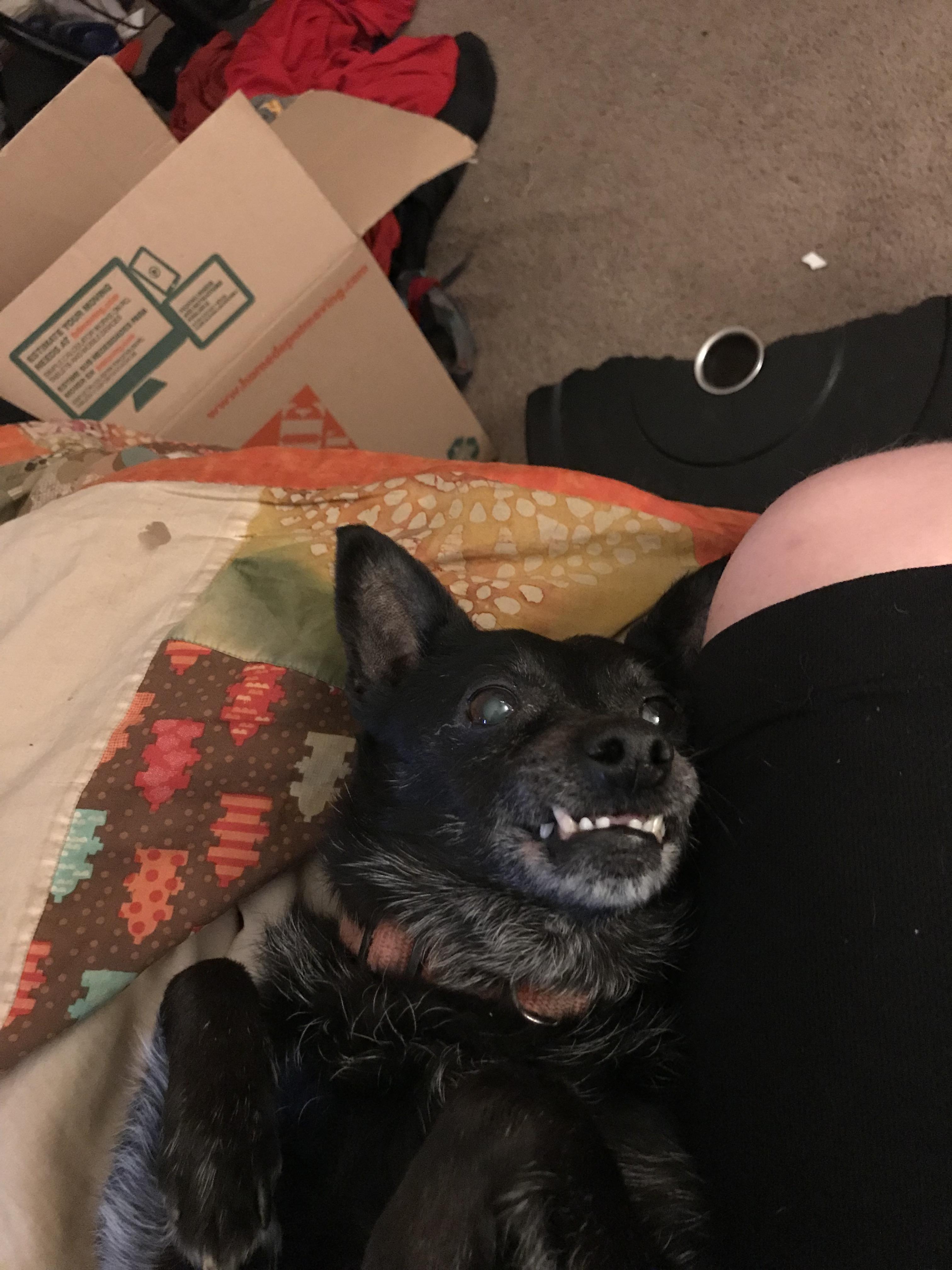 My grumpy old man | Scrolller