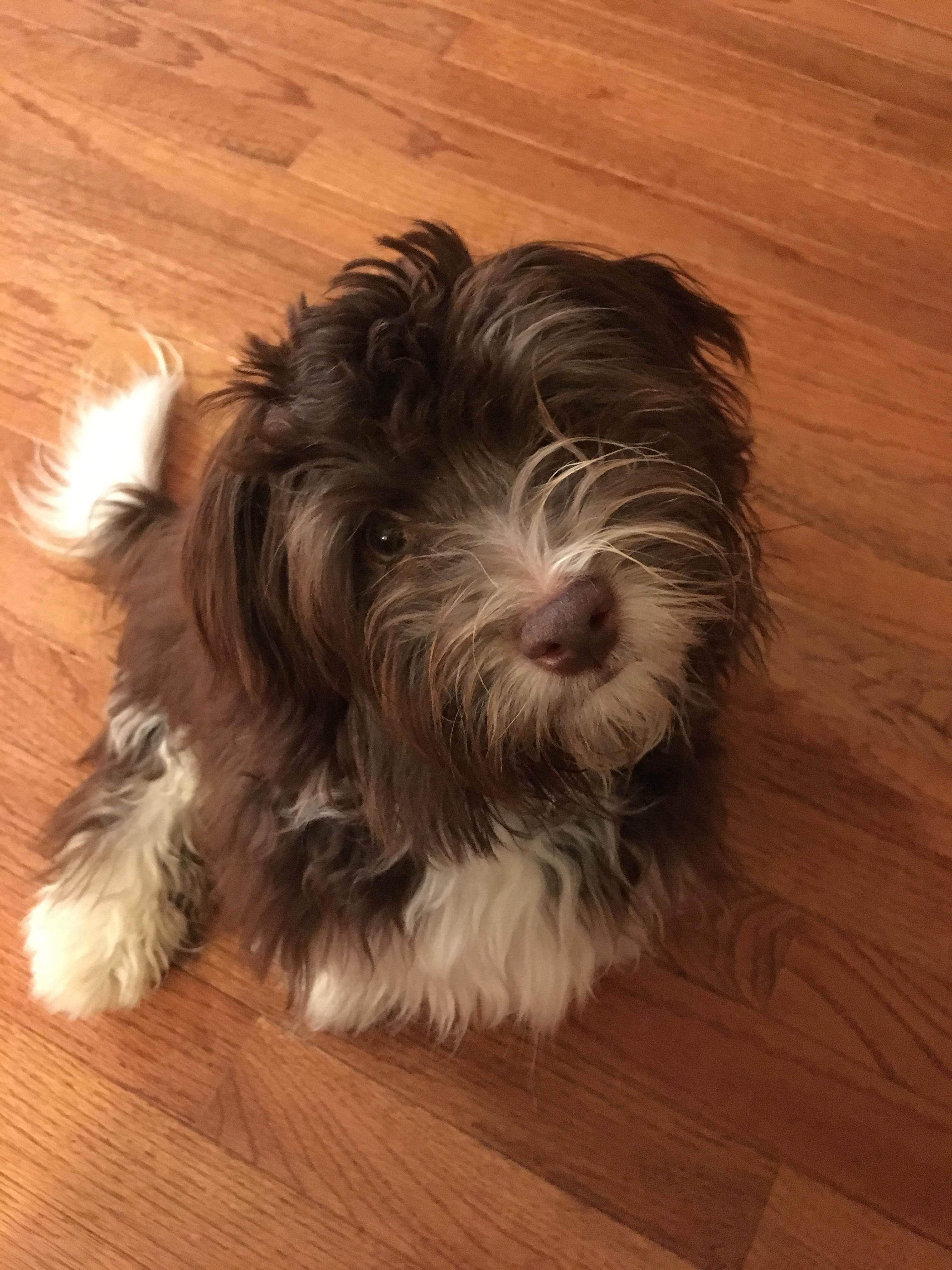 My handsome boy | Scrolller