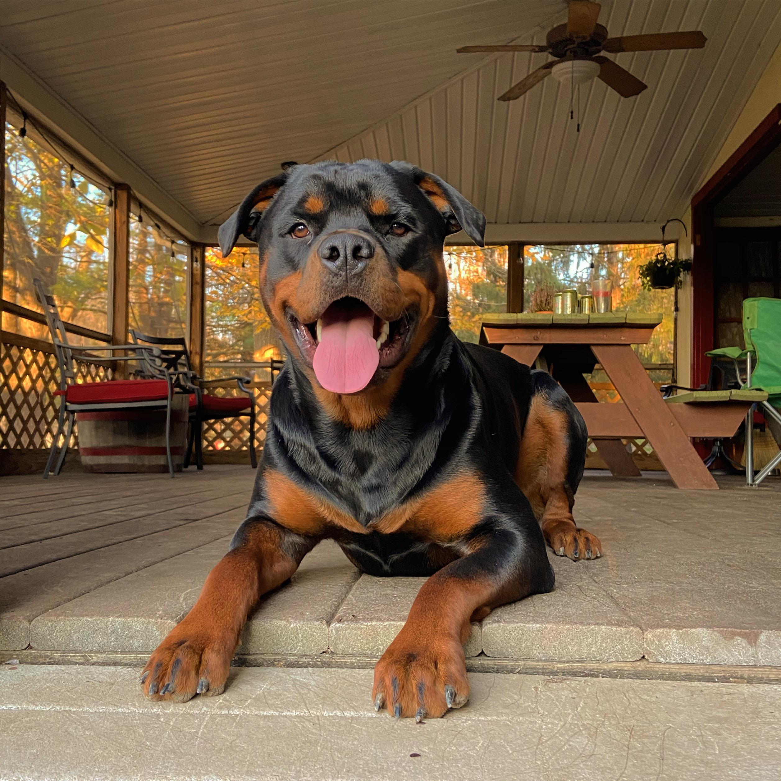 My handsome boy! | Scrolller