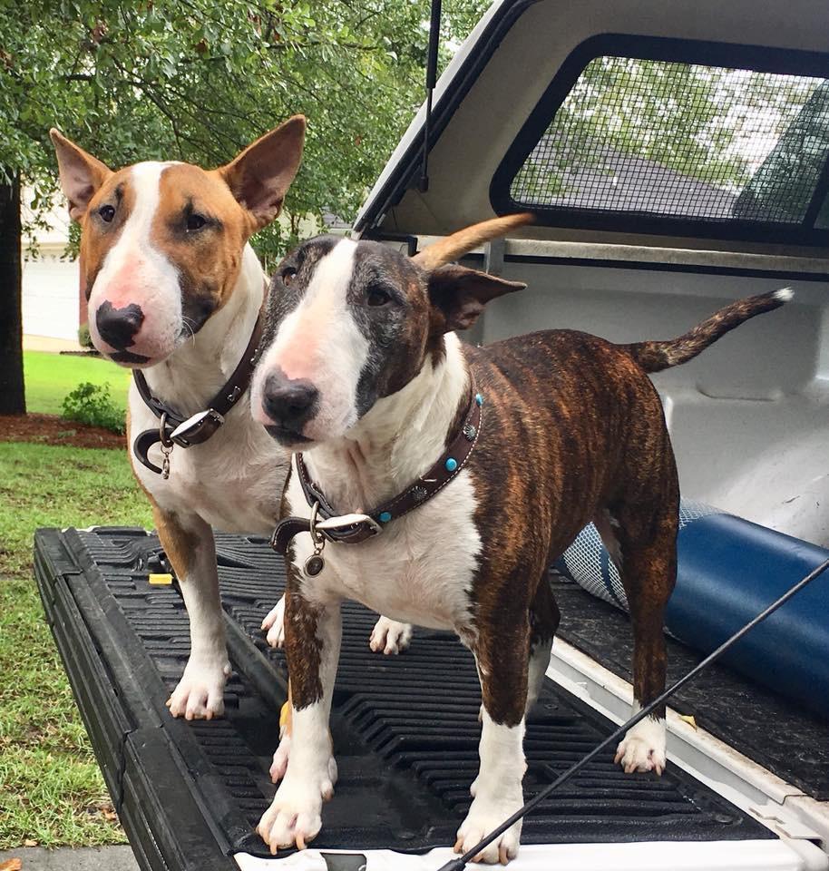 My handsome boys | Scrolller