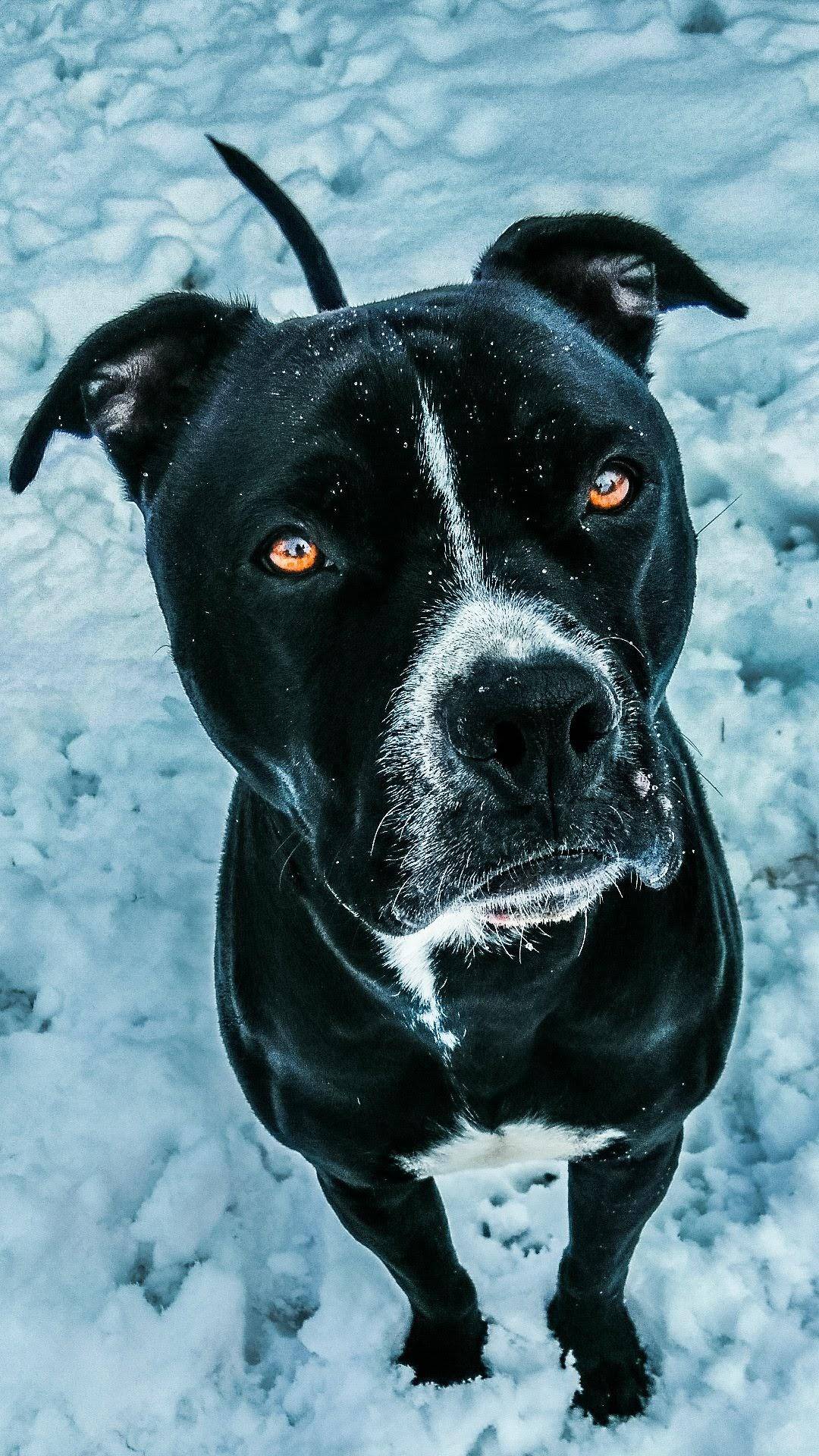 My handsome guy | Scrolller