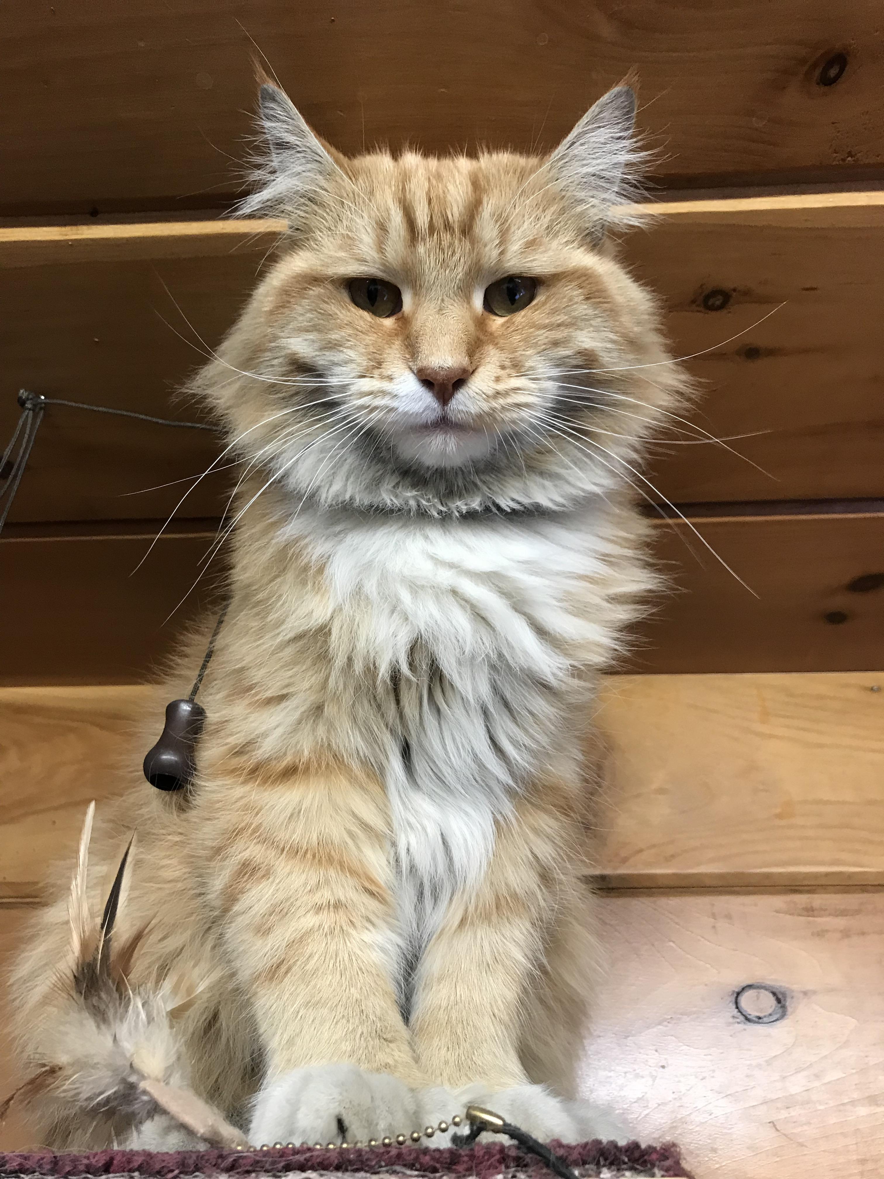 My handsome man ️ | Scrolller