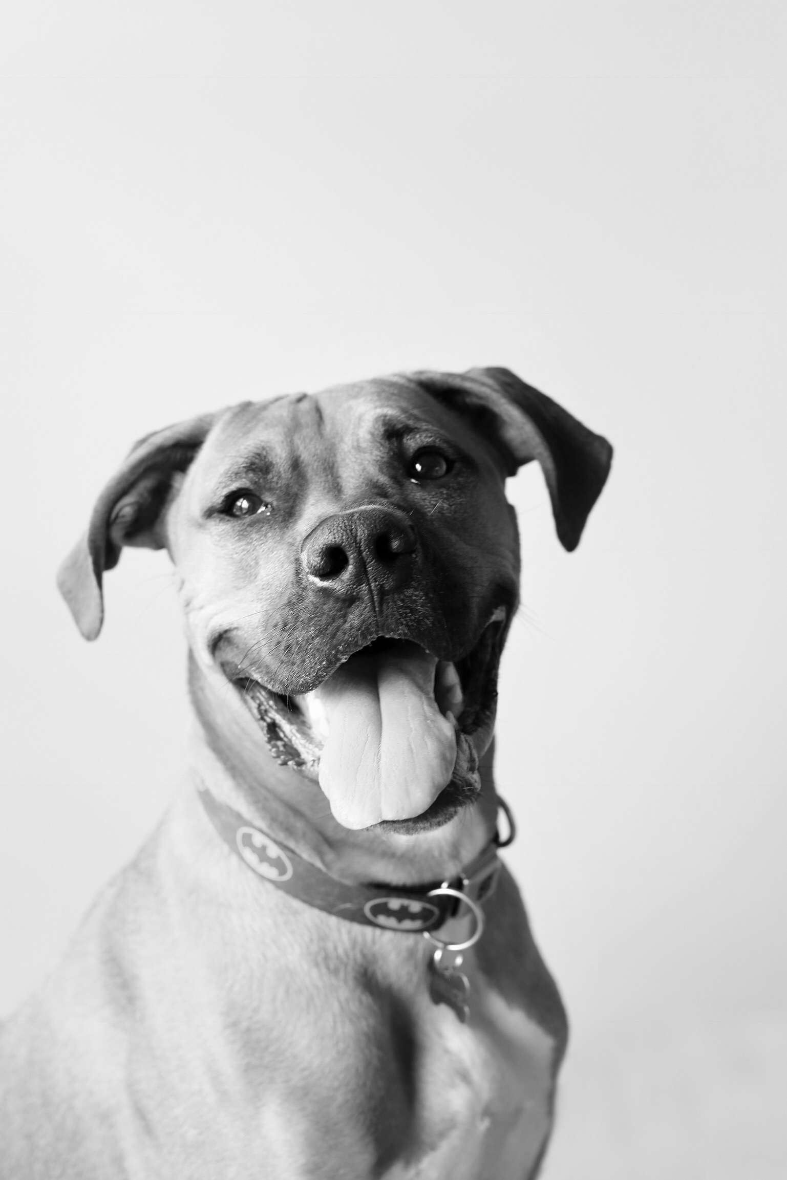 My happy boy Bruce! | Scrolller