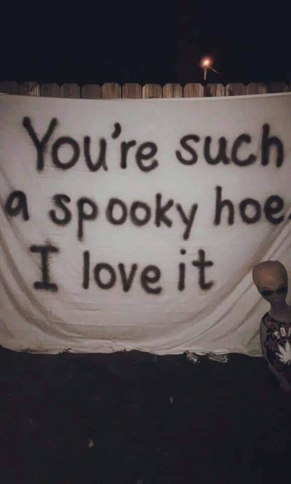 My kind of decor | Scrolller