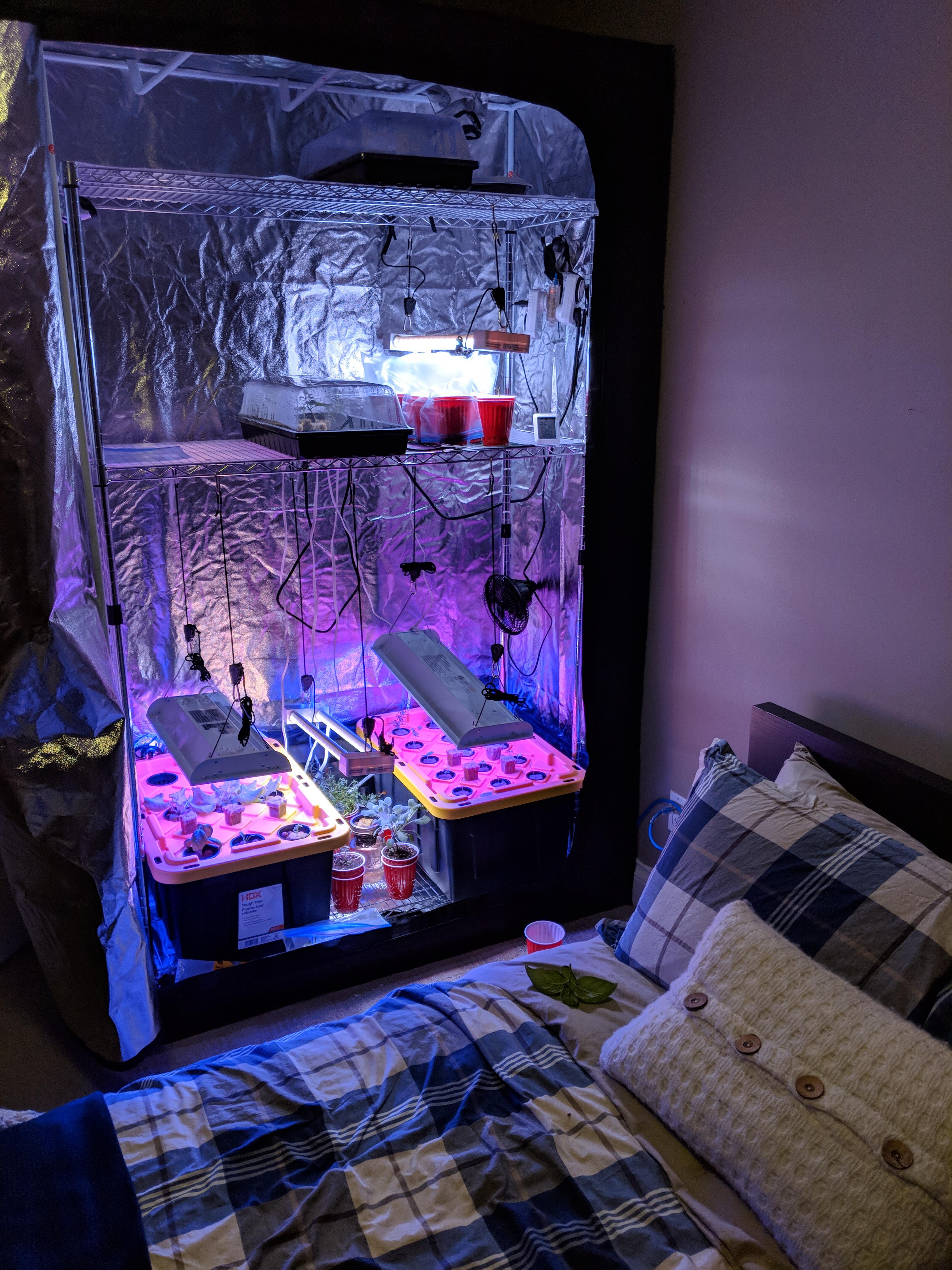 My "little" bedroom setup | Scrolller