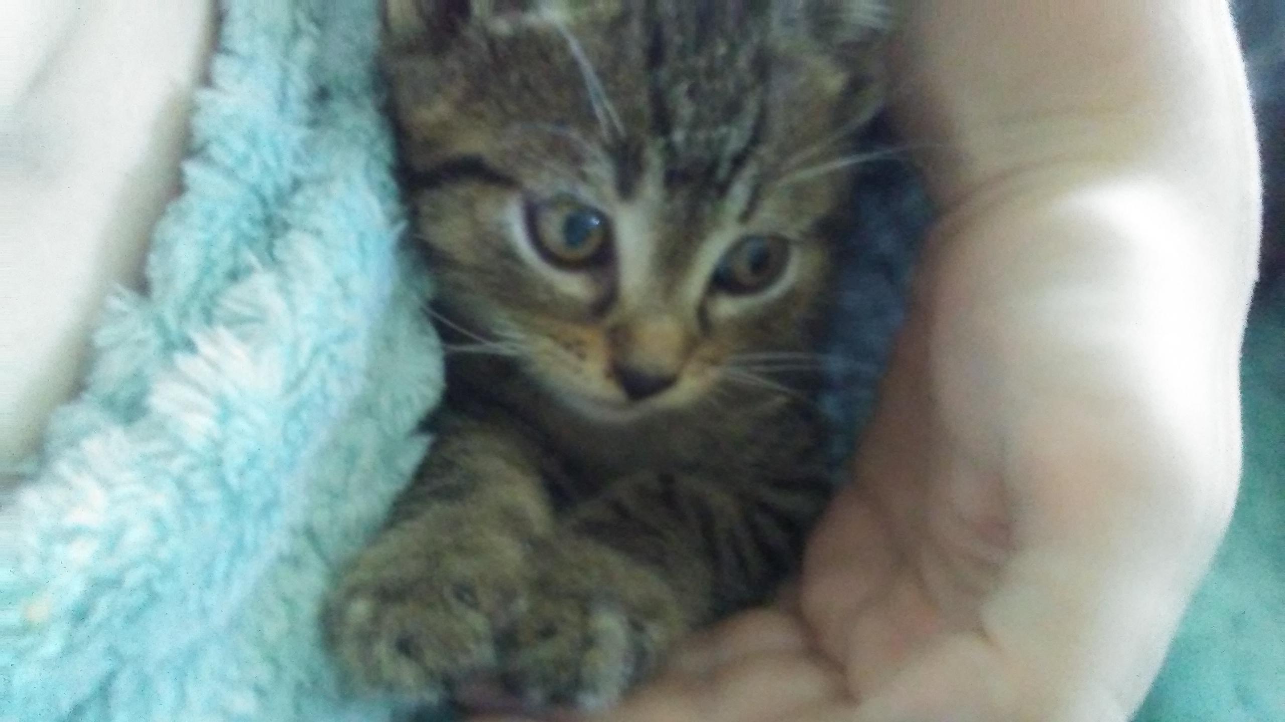 My little boi Ivan | Scrolller