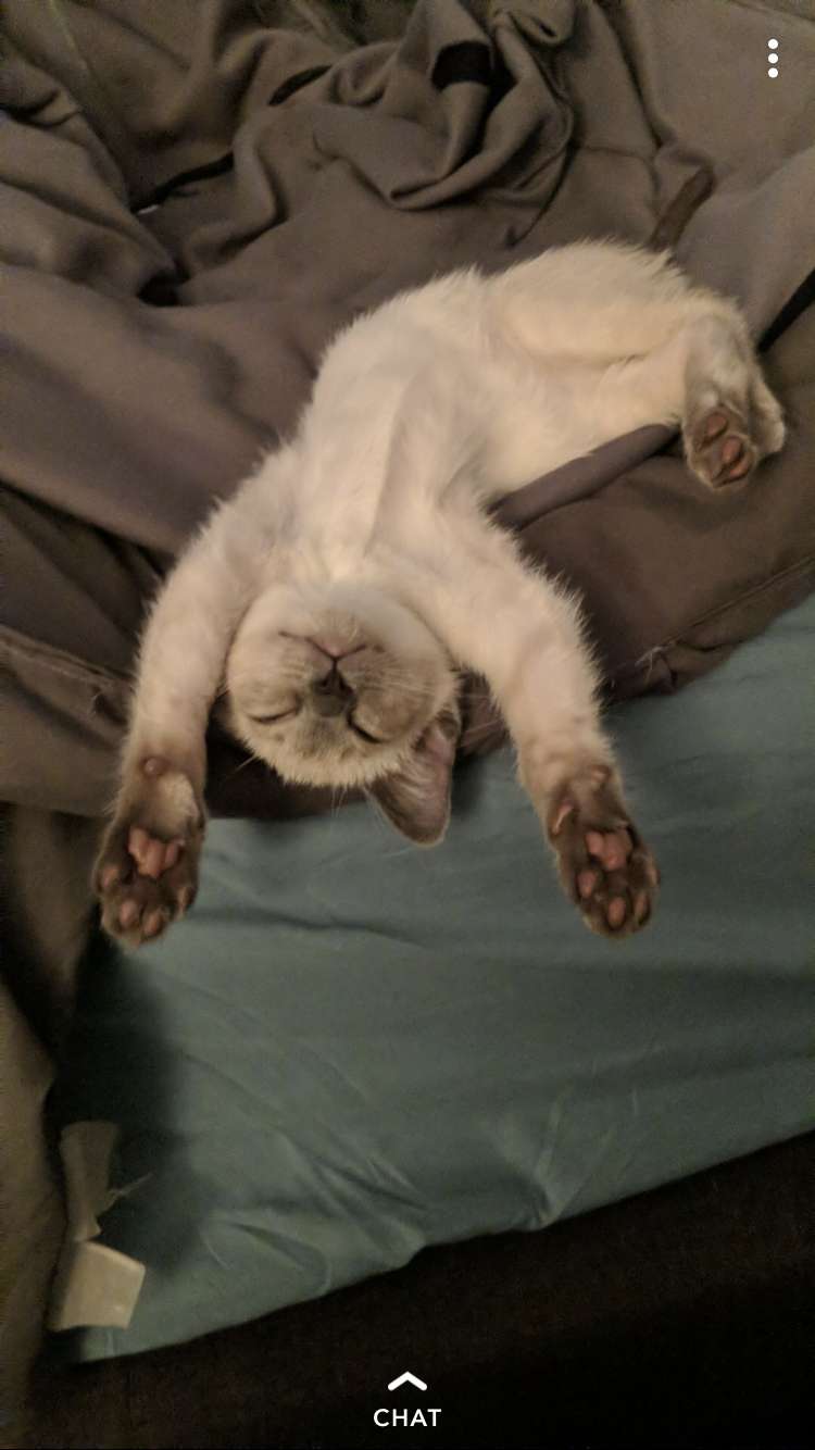 My little nugget and her upside down beans | Scrolller