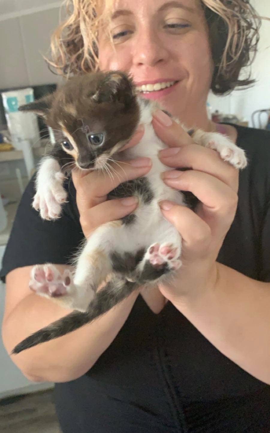 My moms new kitten is adorable! Look at those paws | Scrolller
