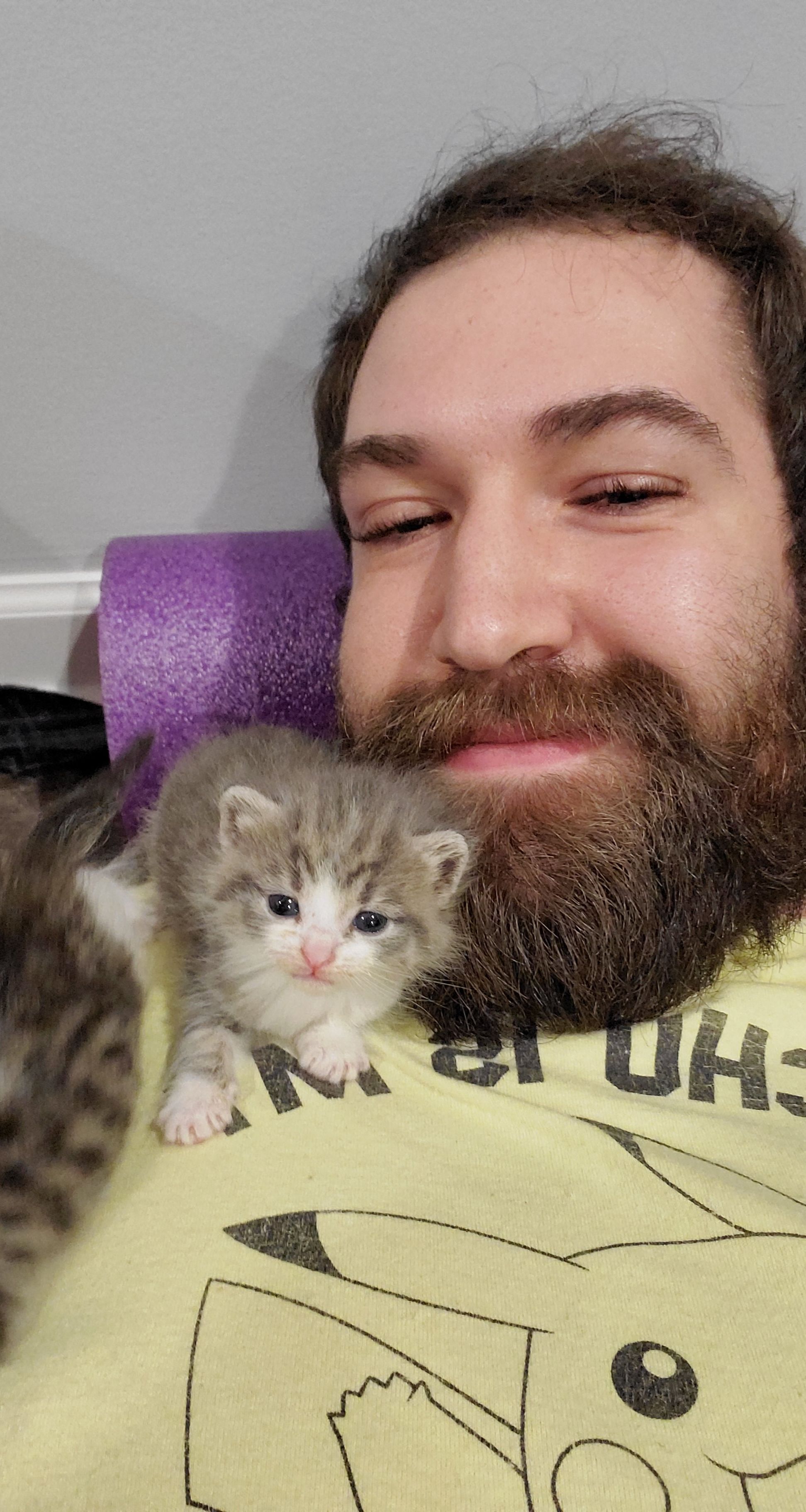 My new kitten Willow (ignore my face) | Scrolller