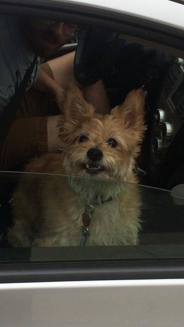 My old man Max smiling while bringing me coffee. | Scrolller