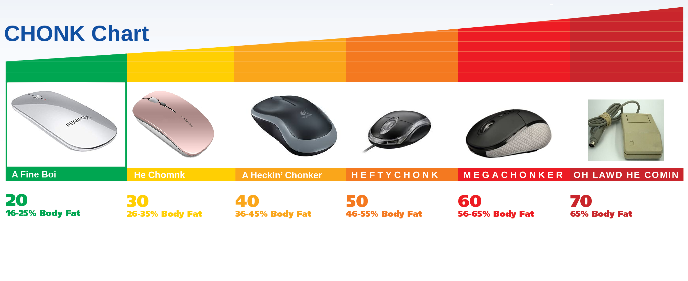 my old mouse is hefty chonk | Scrolller
