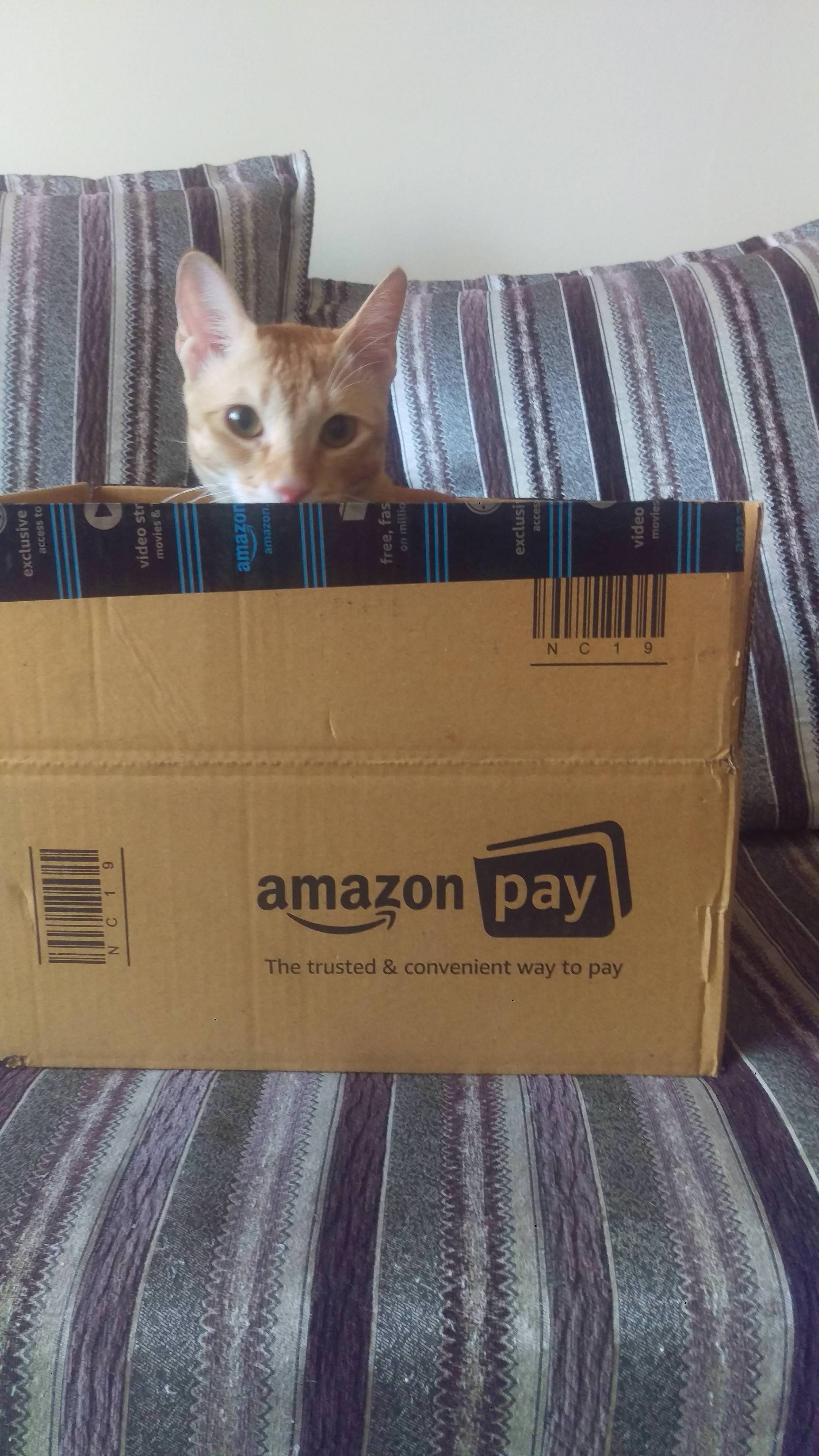 My package from Amazon just arrived. | Scrolller