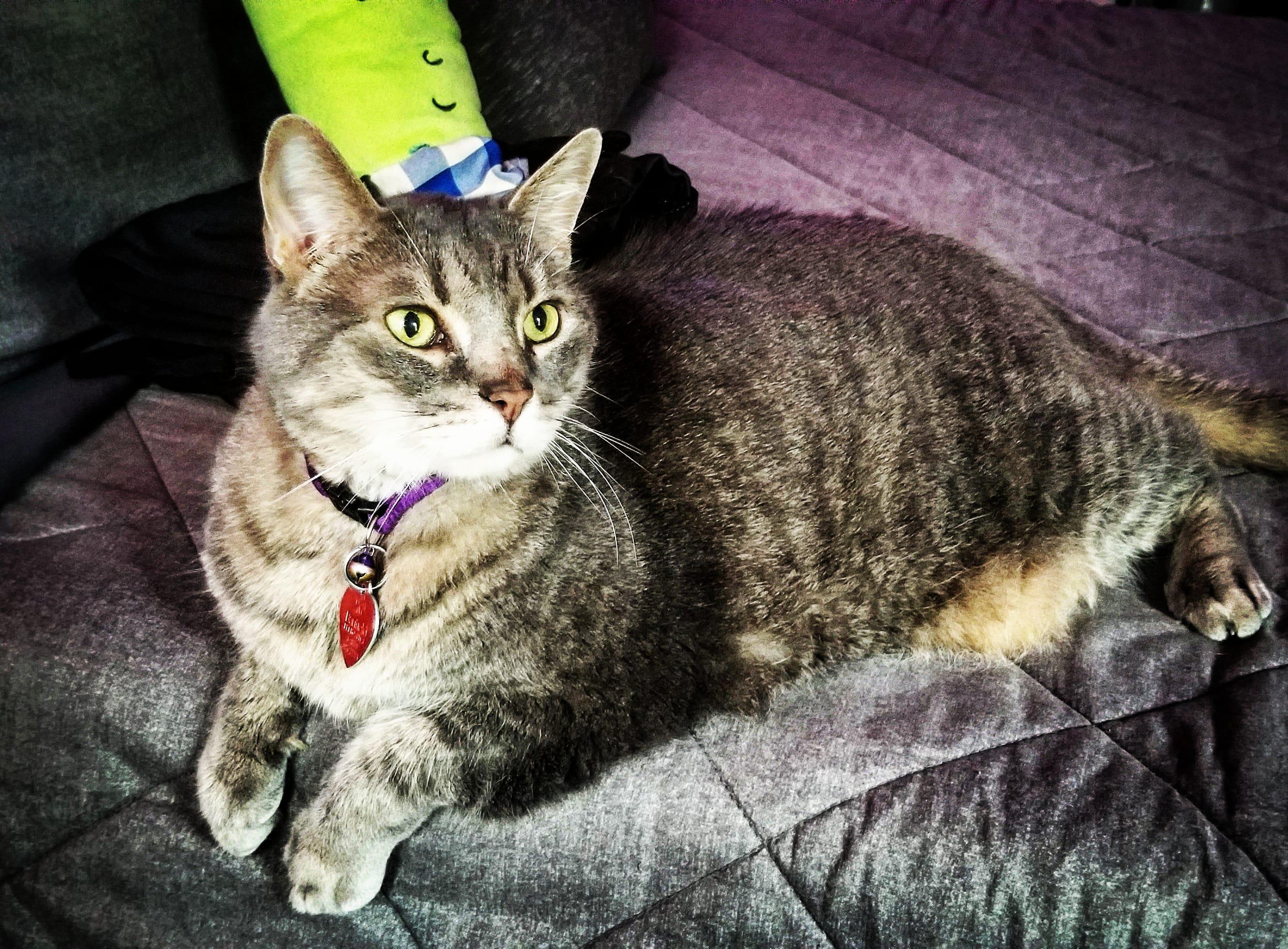 My pal Dante always loves to strike a pose! | Scrolller